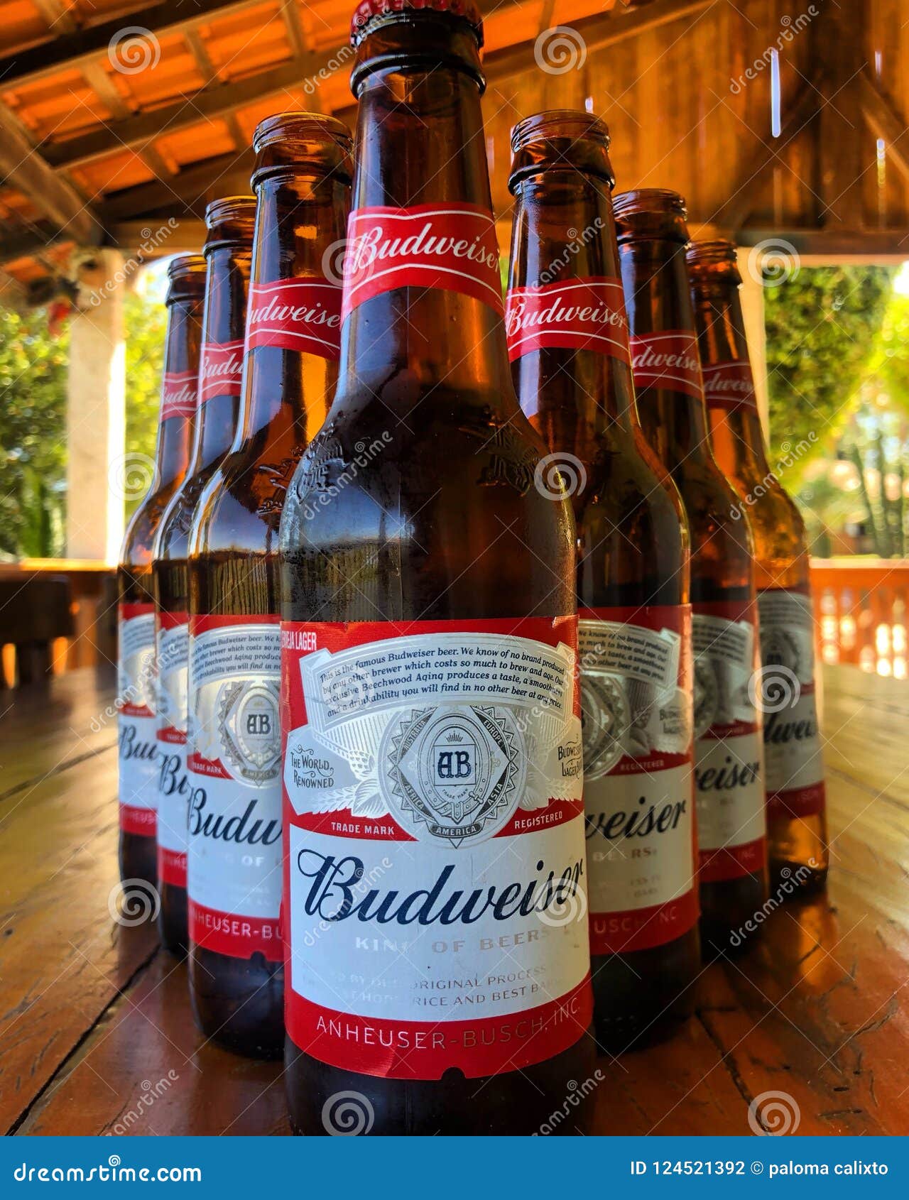 Budweiser editorial photography. Image of bear, cerveja - 124521392