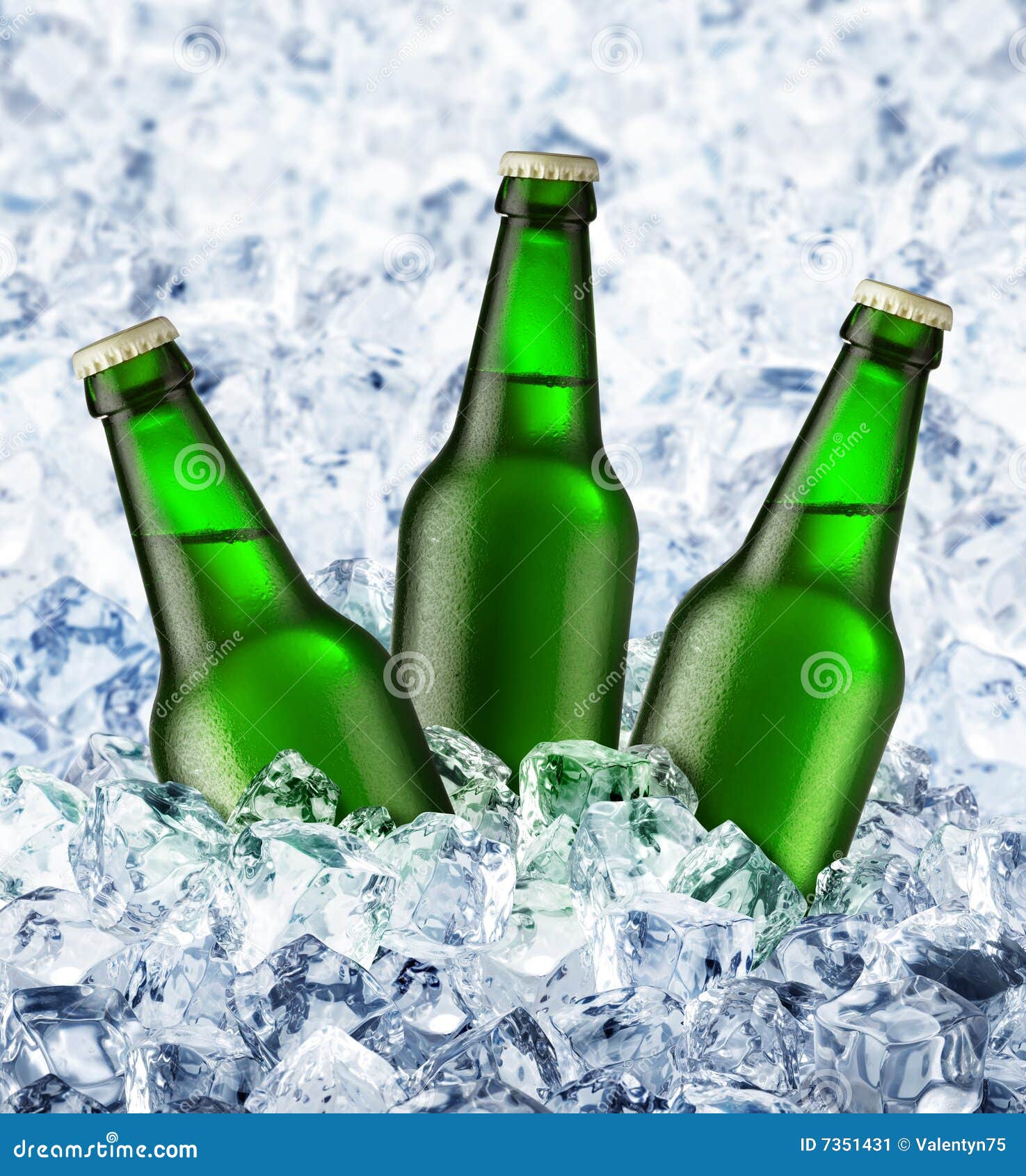 A cerveja está no gelo imagem de stock. Imagem de sede - 7351431