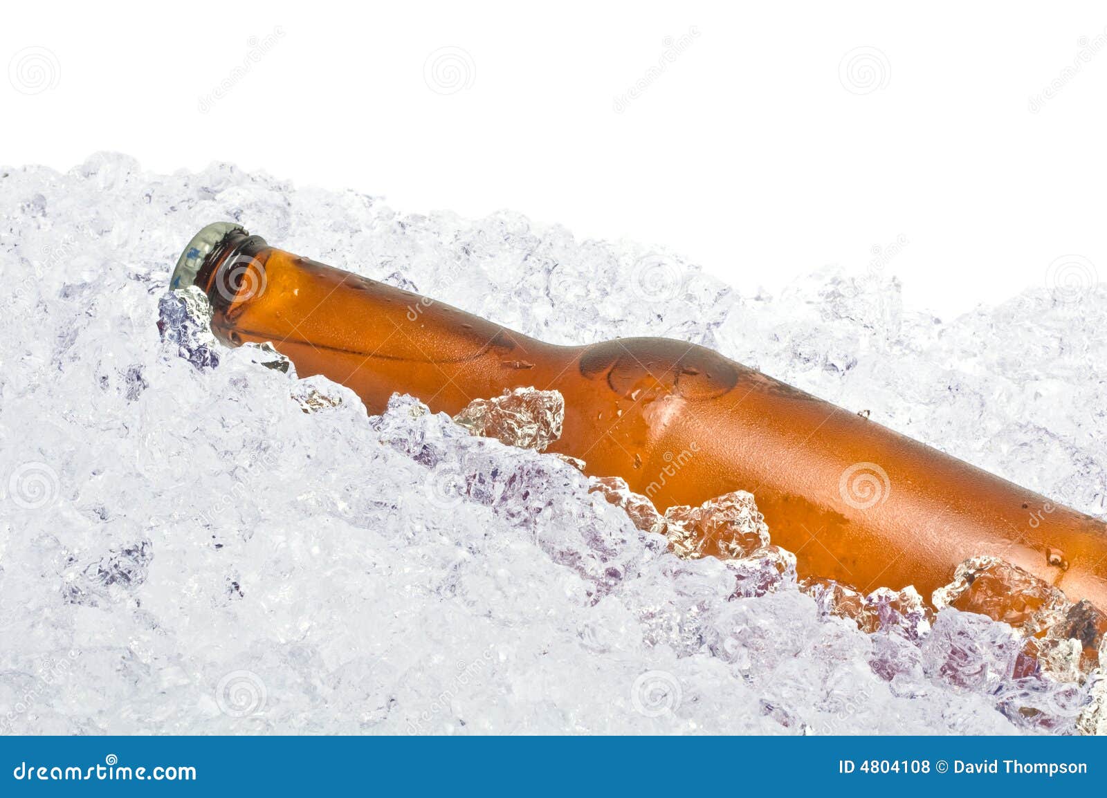 Cerveja no gelo foto de stock. Imagem de partido, refrescar - 4804108