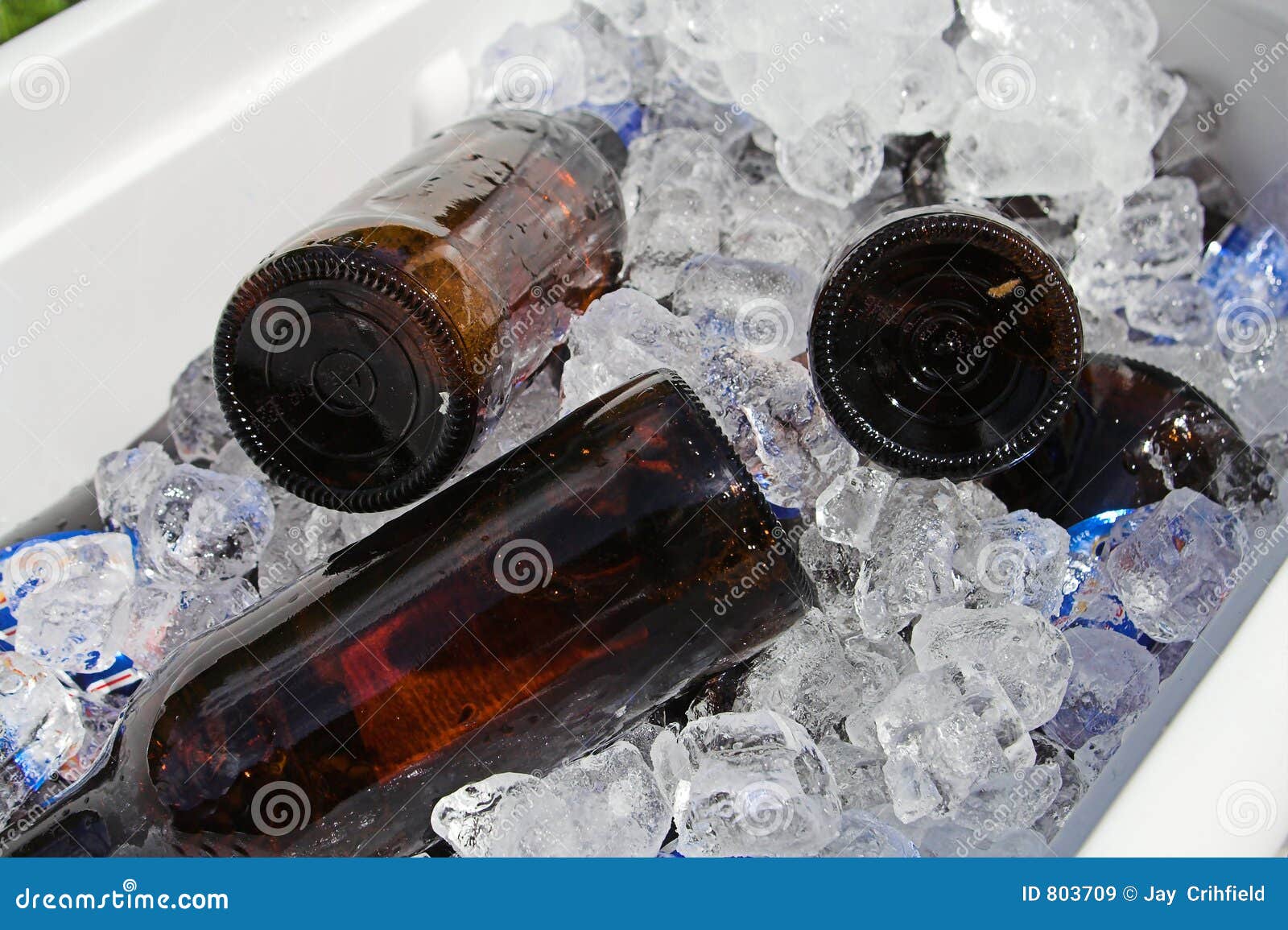 Cerveja no gelo imagem de stock. Imagem de molhado, gelado - 803709