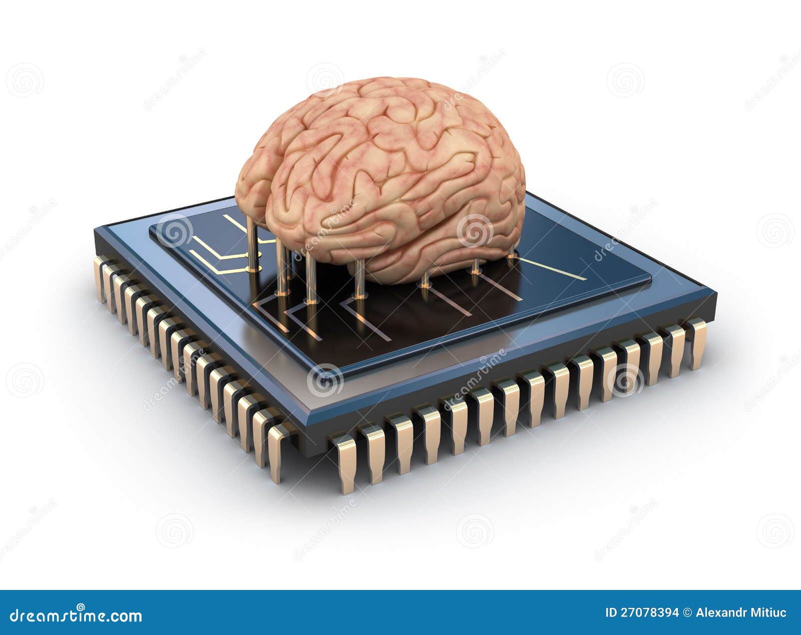Cervello Umano E Chip Di Computer Illustrazione di Stock ...