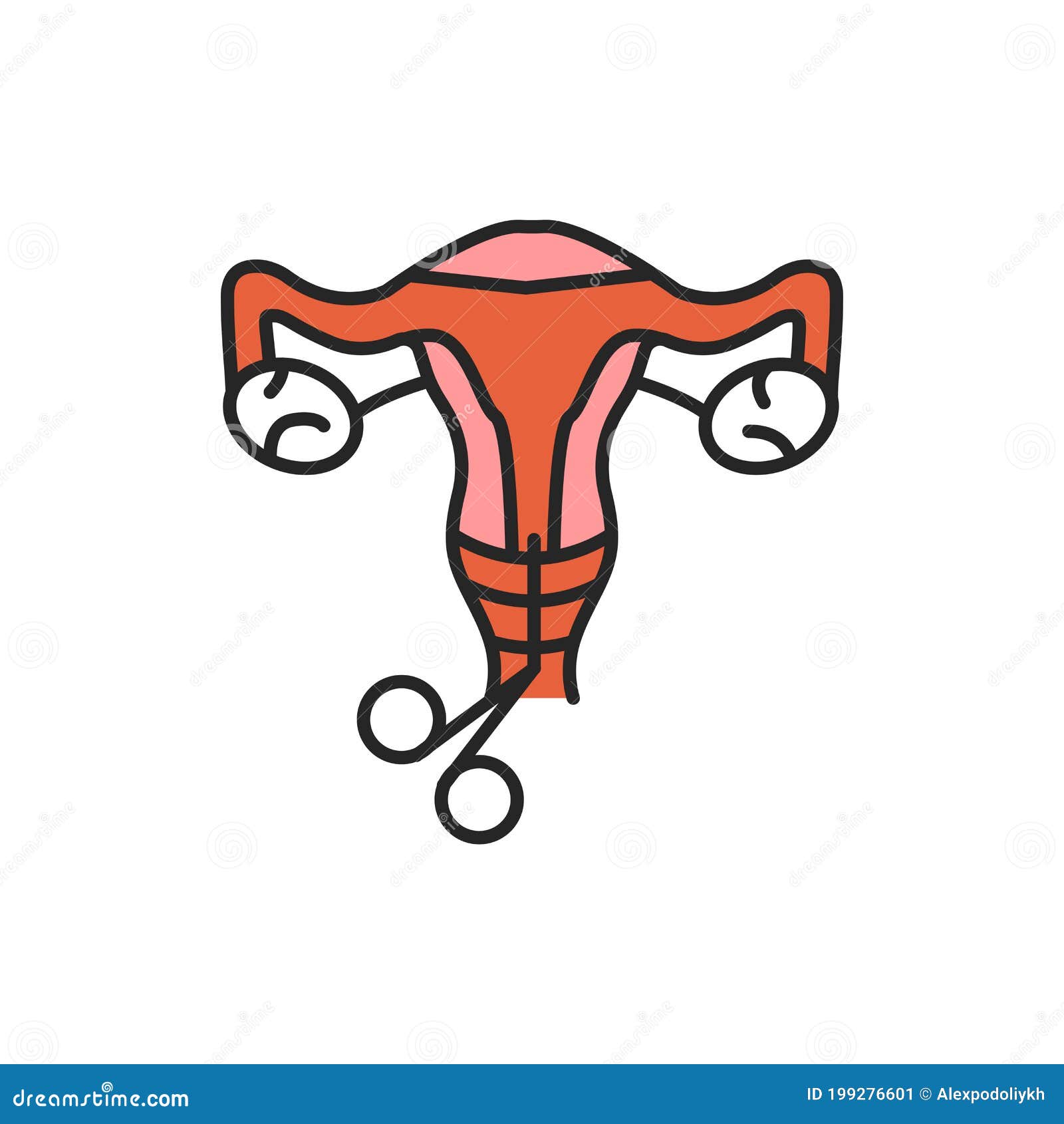 Cervical Cap Color Line Icon Uterus And Contraceptive Method Birth