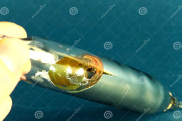 Cesium is Most Active Metal Capsule for Storing Cesium Stock Photo ...