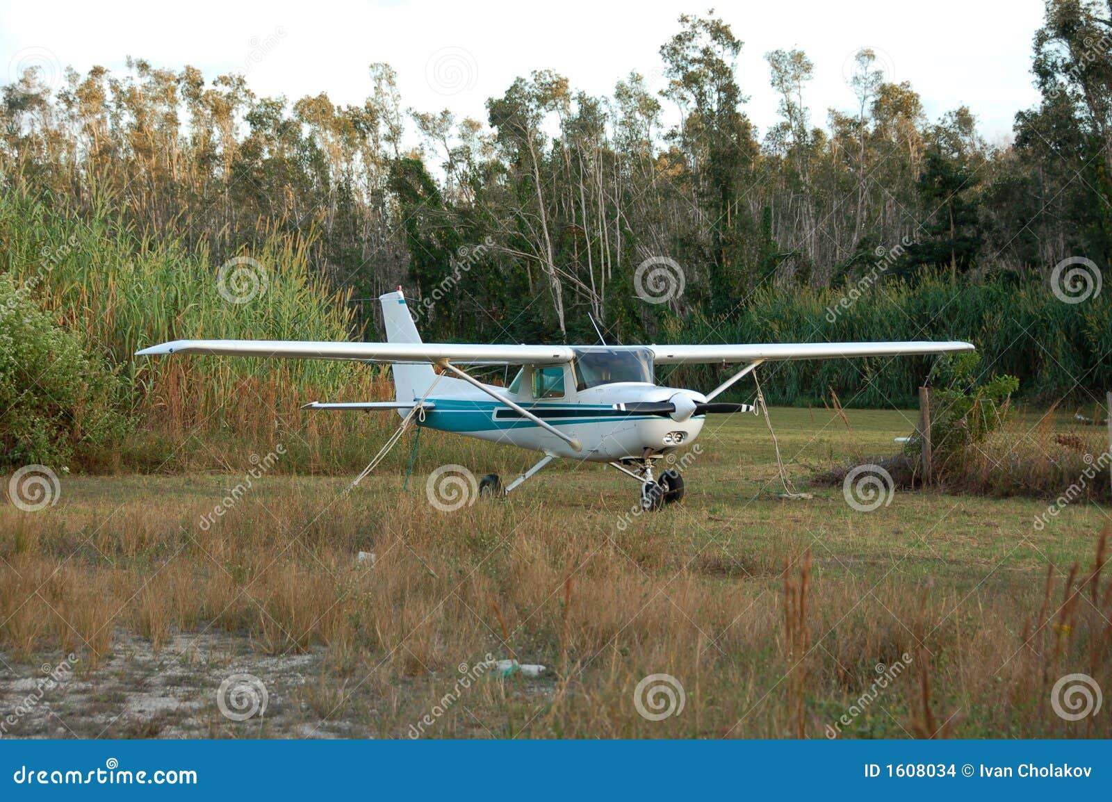 Cessna 172 airplane stock photo. Image of airfield, field - 1608034