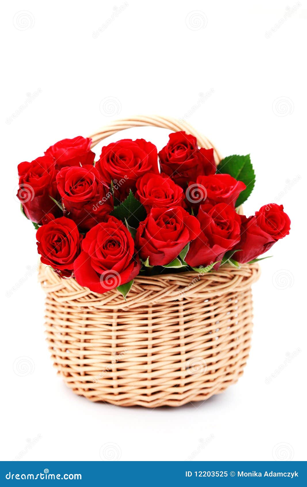 Cesta Completamente De Rosas Vermelhas Imagem de Stock - Imagem de ...