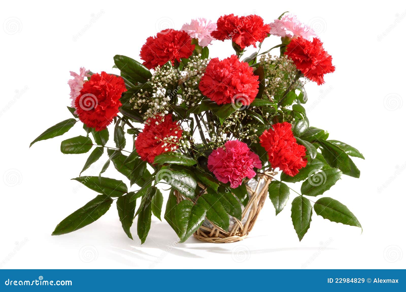 Cesta Con Los Claveles Rojos Imagen de archivo - Imagen de flores ...