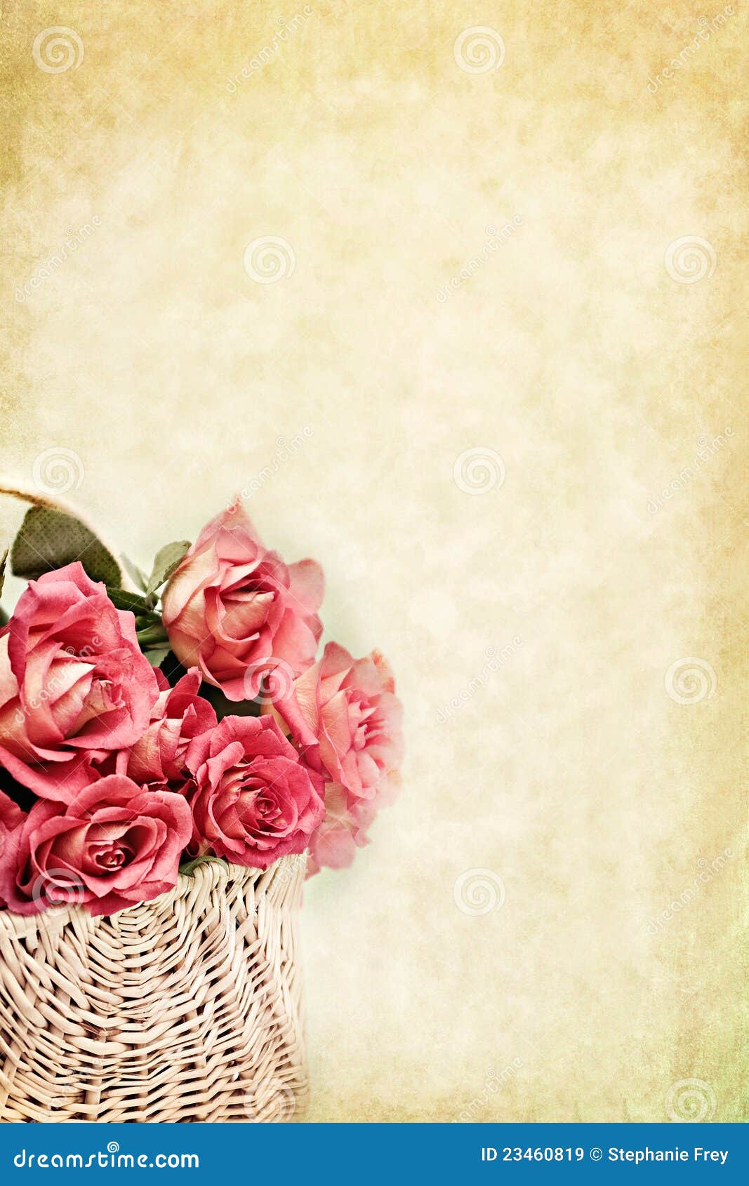 Cesta de rosas imagen de archivo. Imagen de aniversario - 23460819
