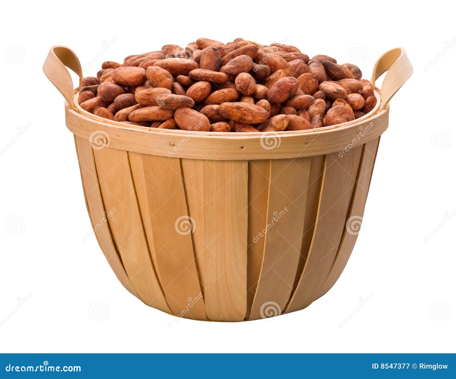 Cestino Della Fava Di Cacao Immagine Stock - Immagine di marrone ...