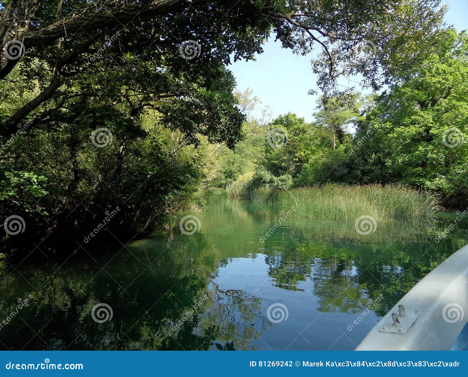 Cetina river stock photo. Image of natural, croatia, cetina - 81269242