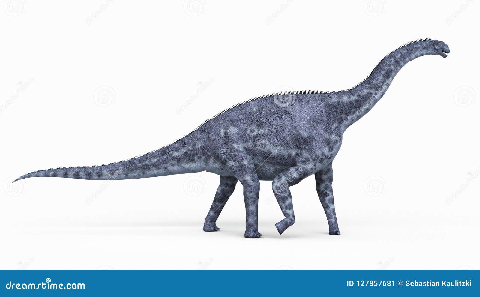 Cetiosaurus Dinosaur With Pterosaurs Royalty-Free Stock Photography ...