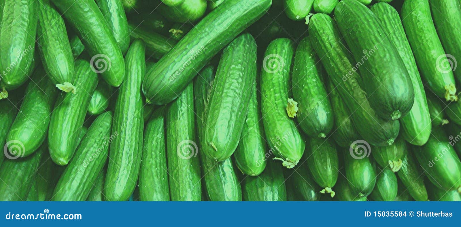 Cetrioli fotografia stock. Immagine di cottura, lifestyle - 15035584