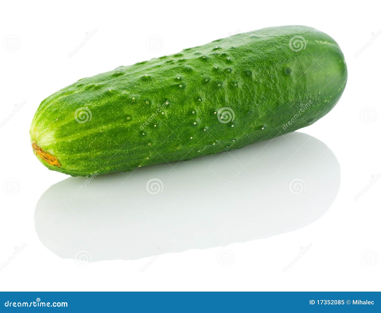 Cetriolo isolato immagine stock. Immagine di giù, podere - 17352085