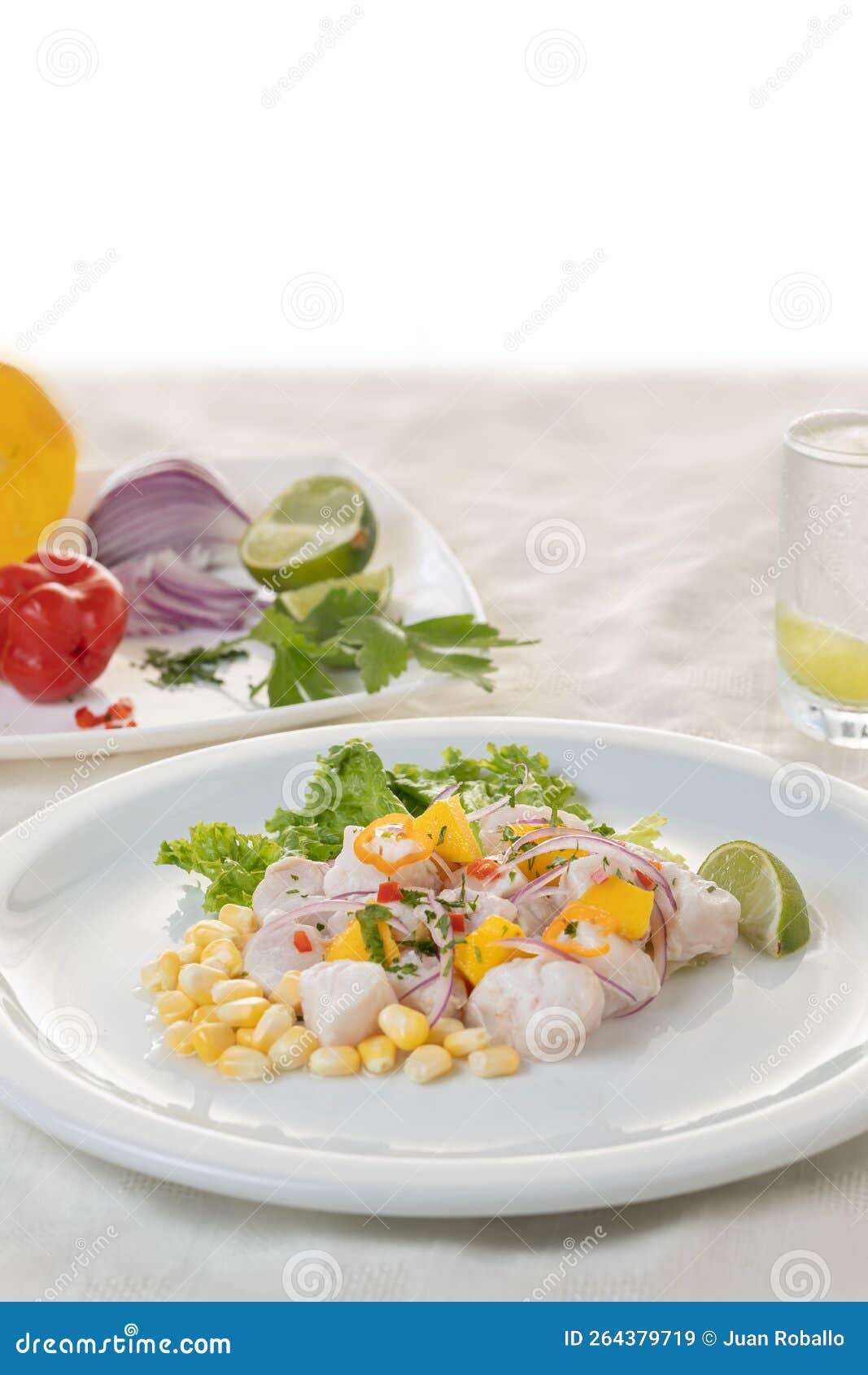Ceviche, Typical Dish of Peruvian Cuisine. Seafood of Peru Stock Image ...