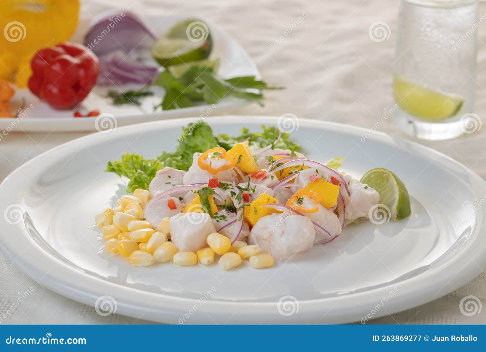 Ceviche, Typical Fish-based Dish of Peruvian Cuisine on White Plate ...