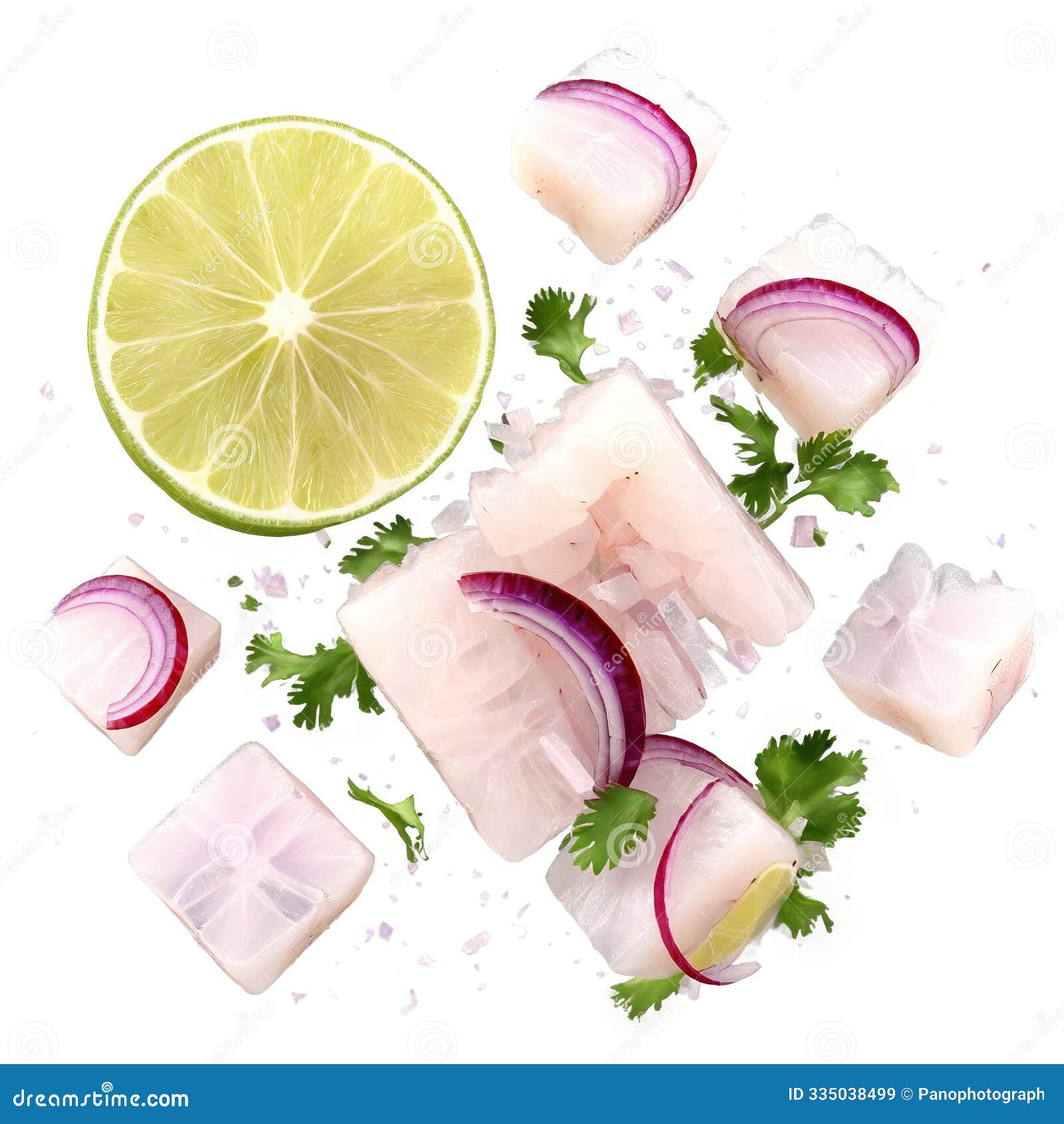 Ceviche White Fish Cubes Splashed with Lime Juice Red Onion Slivers ...