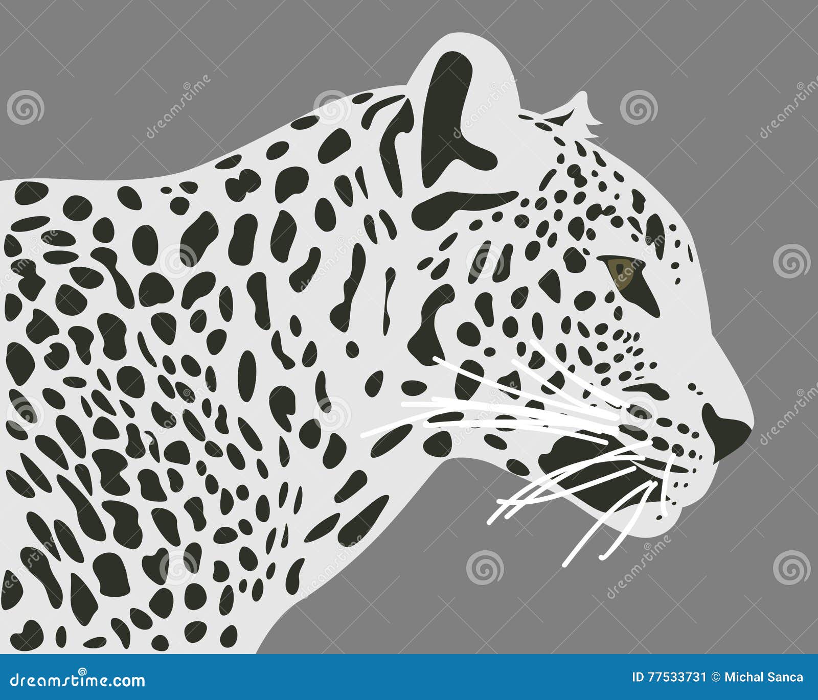 Leopard Vector Badge - Icon - Emblem | CartoonDealer.com #38953395