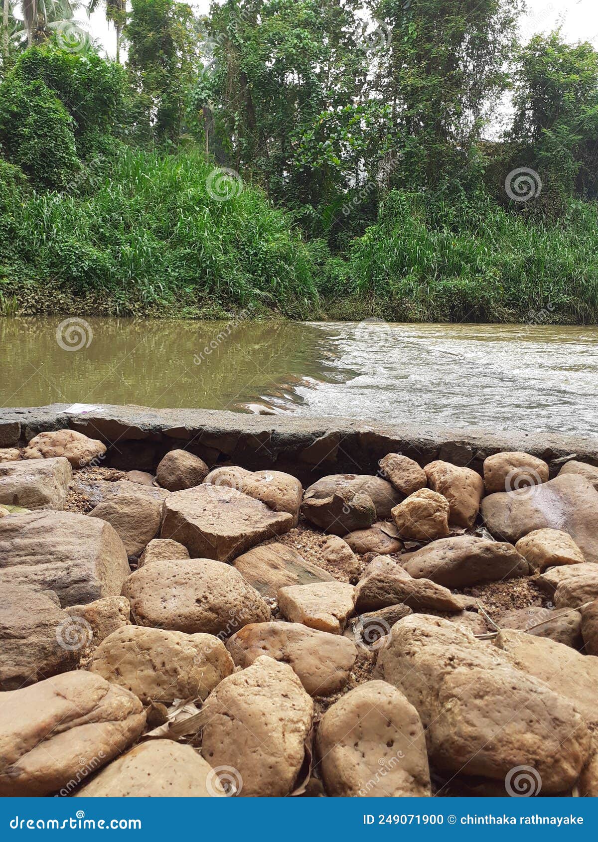 Ceylon River Nature Side Water Falls Stock Photo - Image of water ...