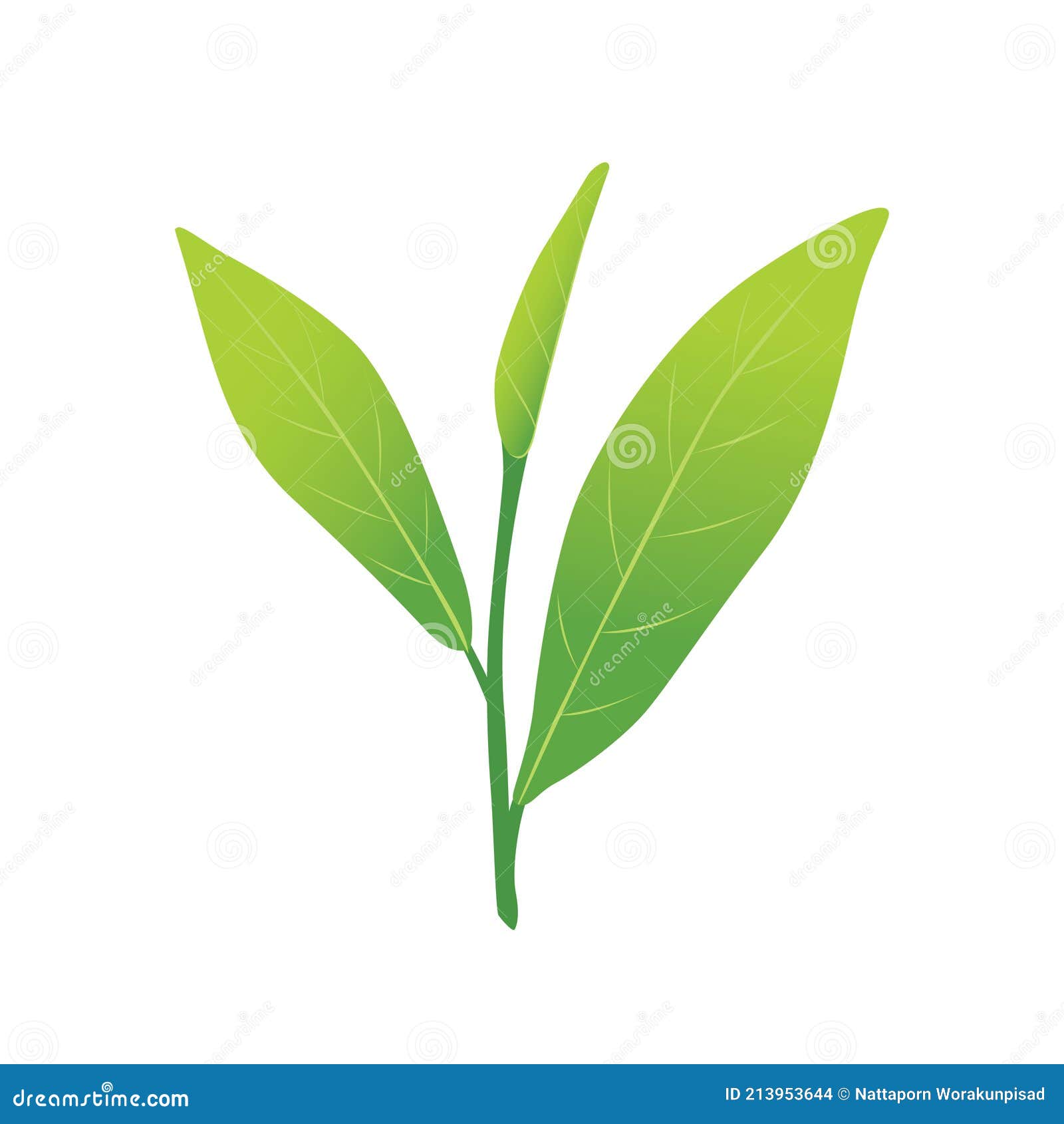 Cup Of Ceylon Tea With Leaf On White Background.Ceylon Tea In A Glass ...