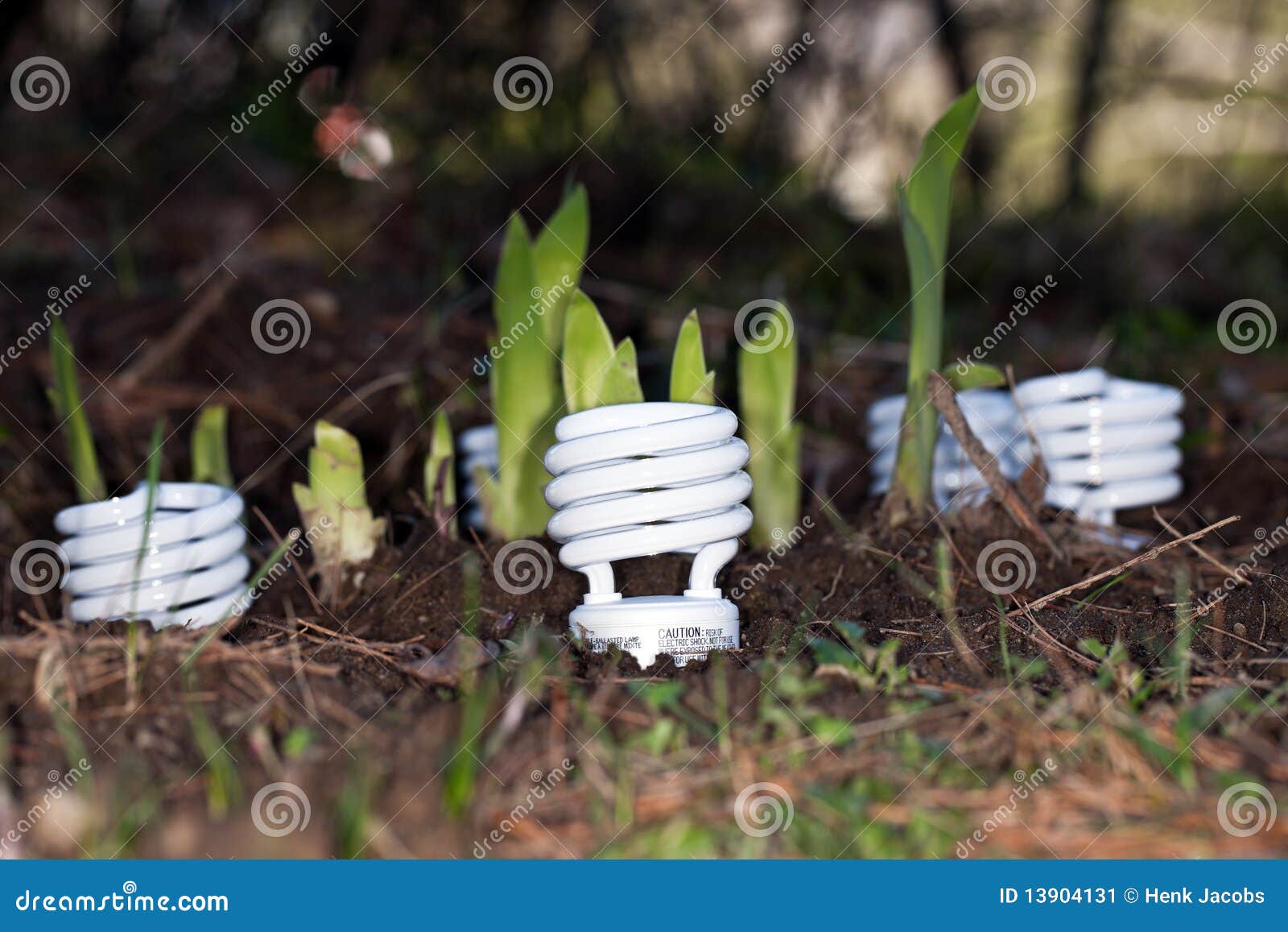 CFL Light Bulbs Blooming stock image. Image of power - 13904131