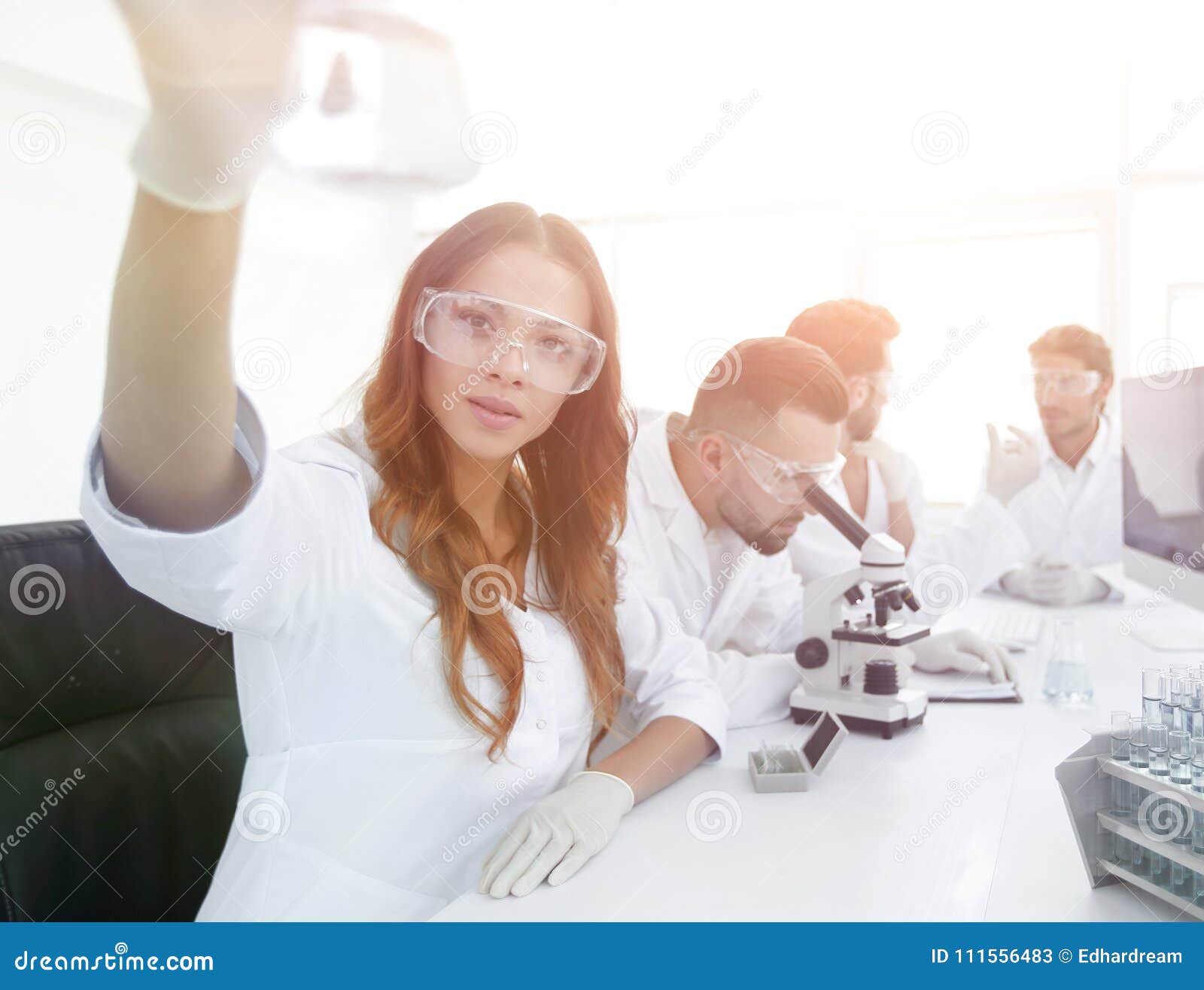 Group of Creative Scientists Working in a Laboratory. Stock Image ...