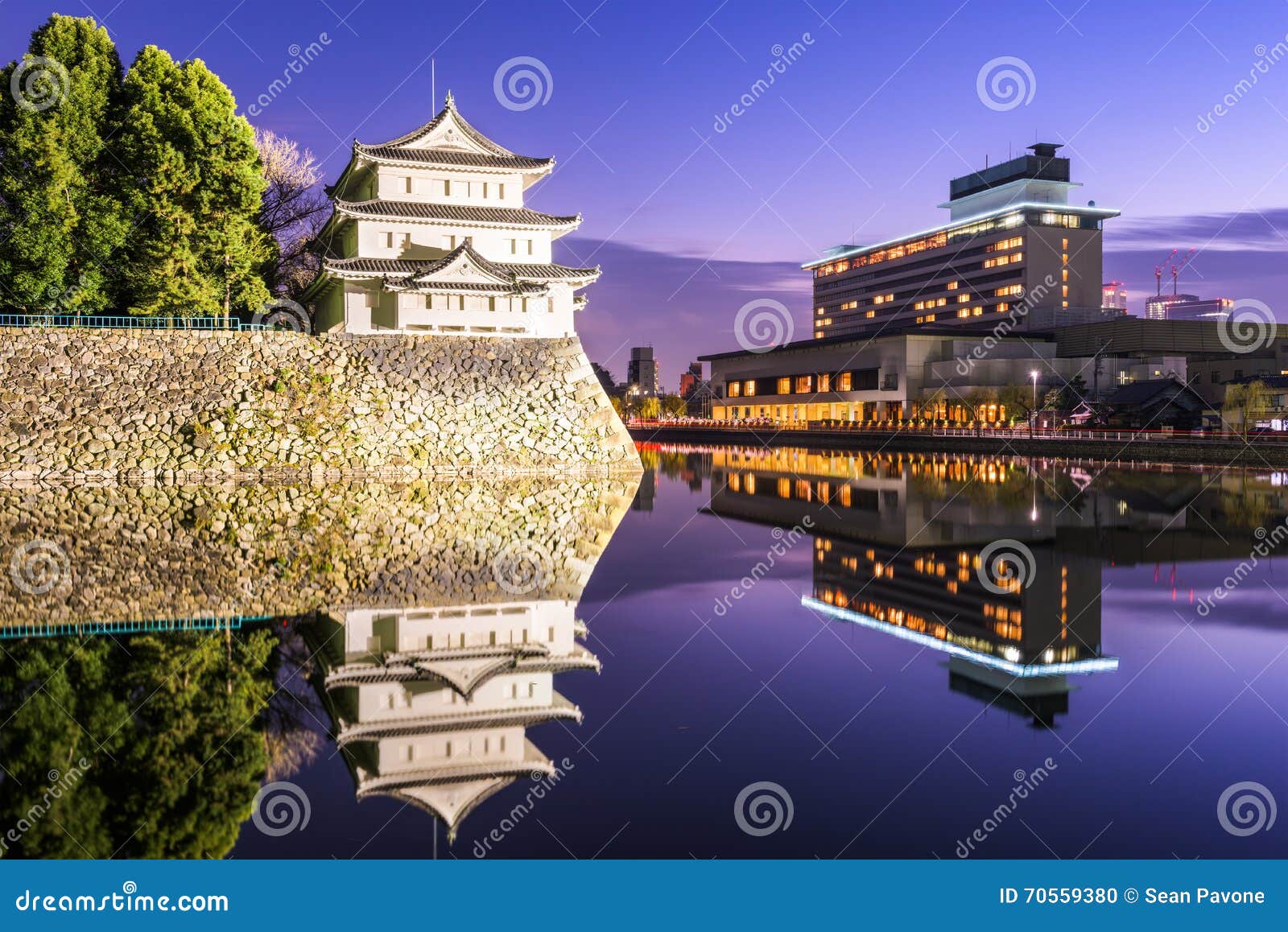Château de Nagoya Japon photo stock. Image du japonais - 70559380