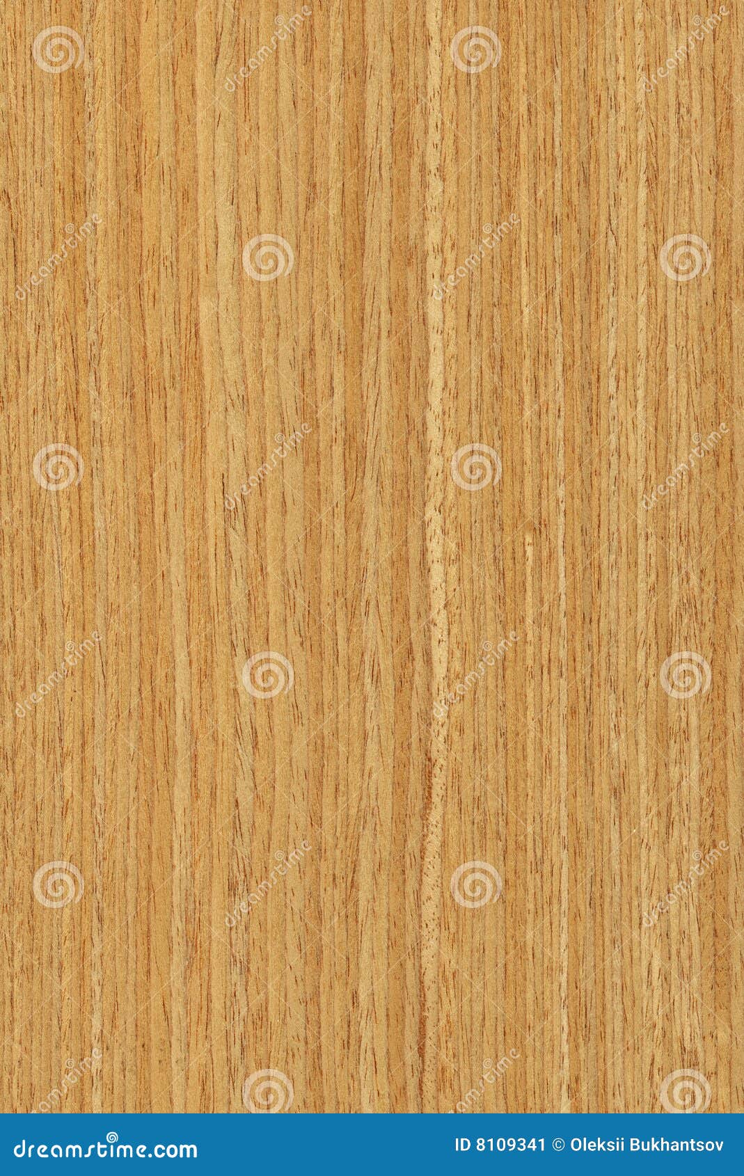 Chêne (texture en bois) image stock. Image du contexte - 8109341
