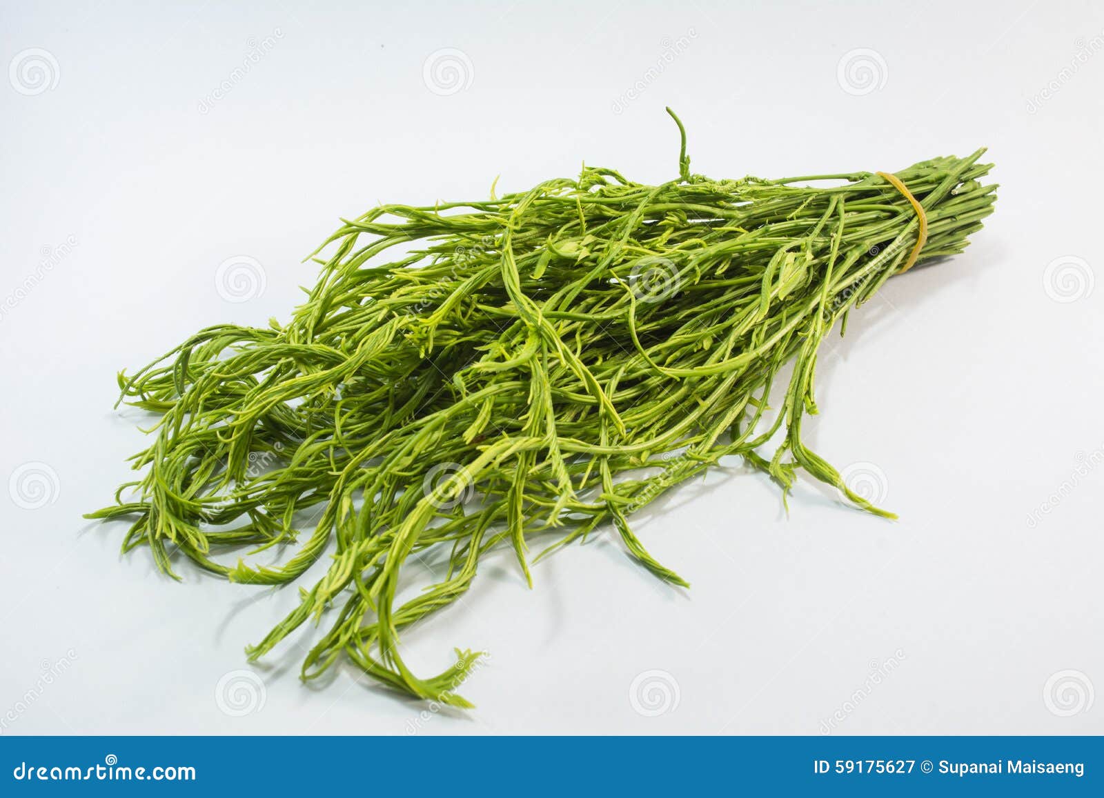 Cha vegetables stock image. Image of eggs, pink, bamboo - 59175627