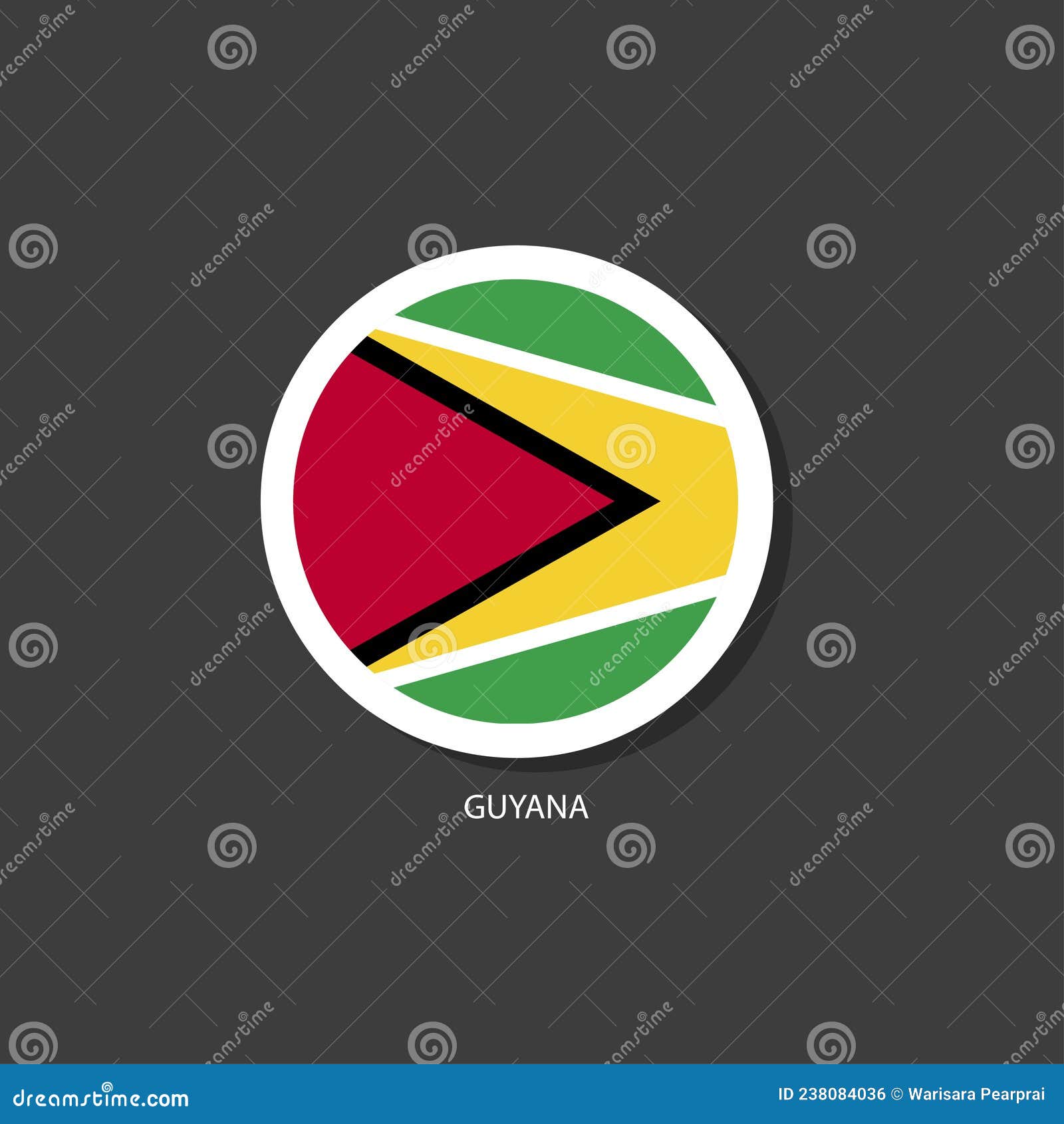 Guyana Circle Button Icon. Guyanese Round Badge Flag. 3D Realistic Isolated Vector Illustration ...