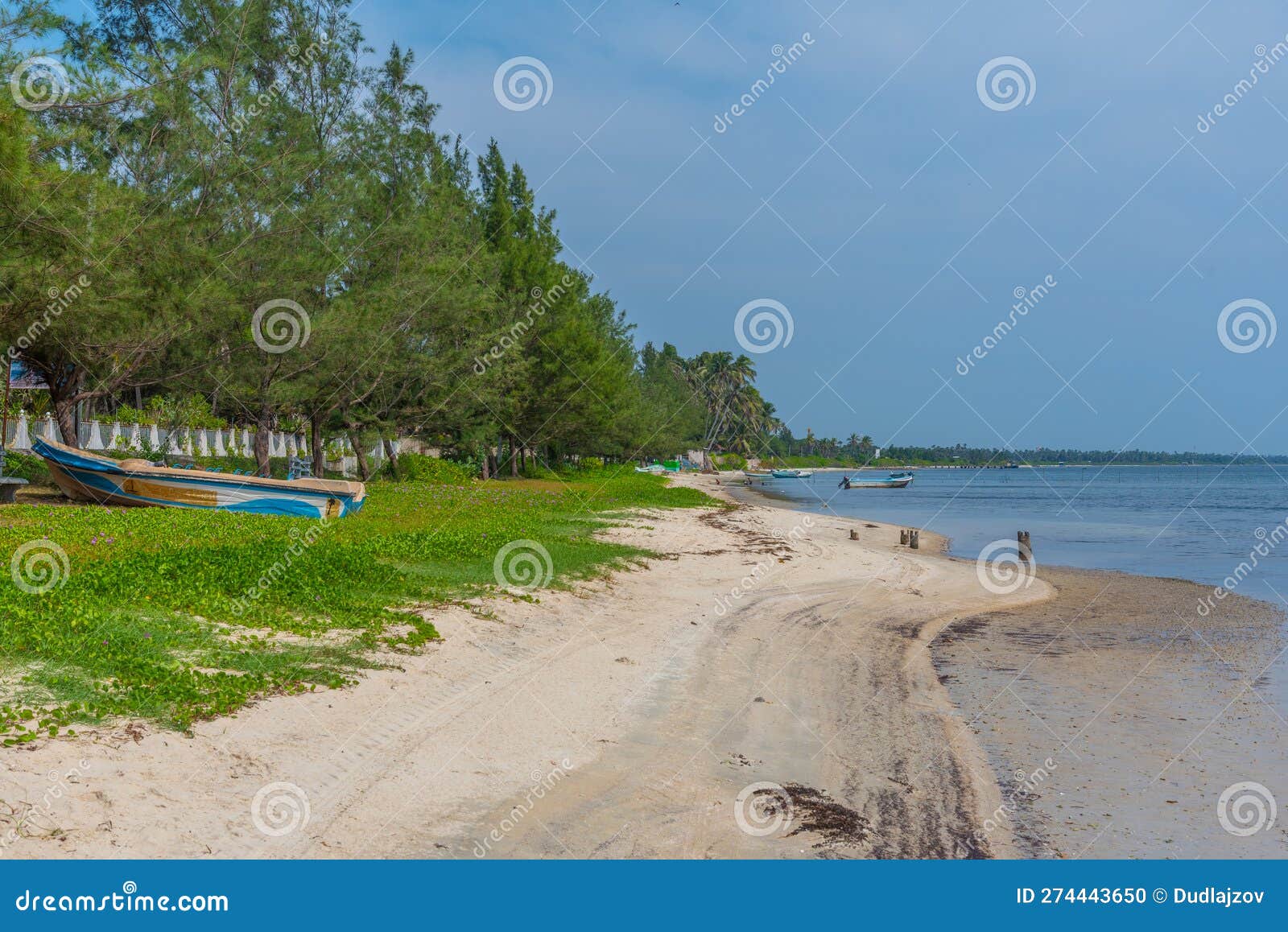 Chaddy Beach Near Jaffna, Sri Lanka Stock Photo - Image of blue, season ...