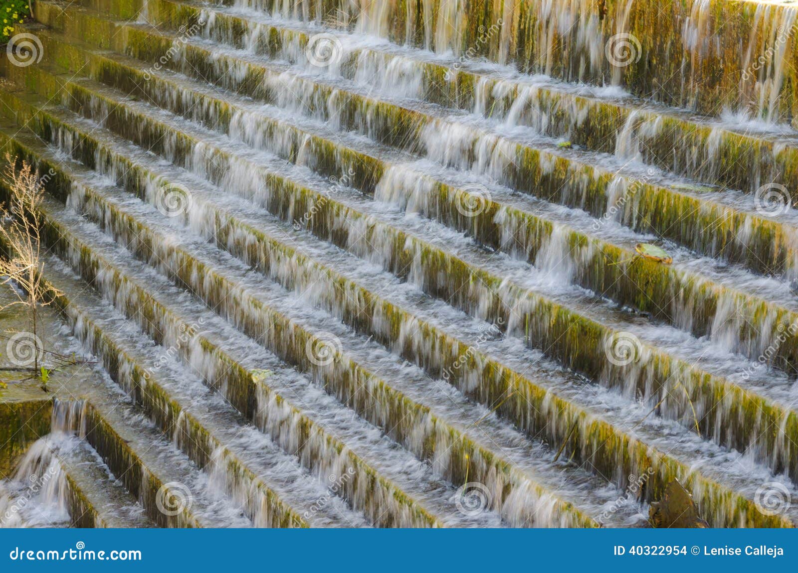 Chadwick Lakes - Malta stock photo. Image of maltese - 40322954