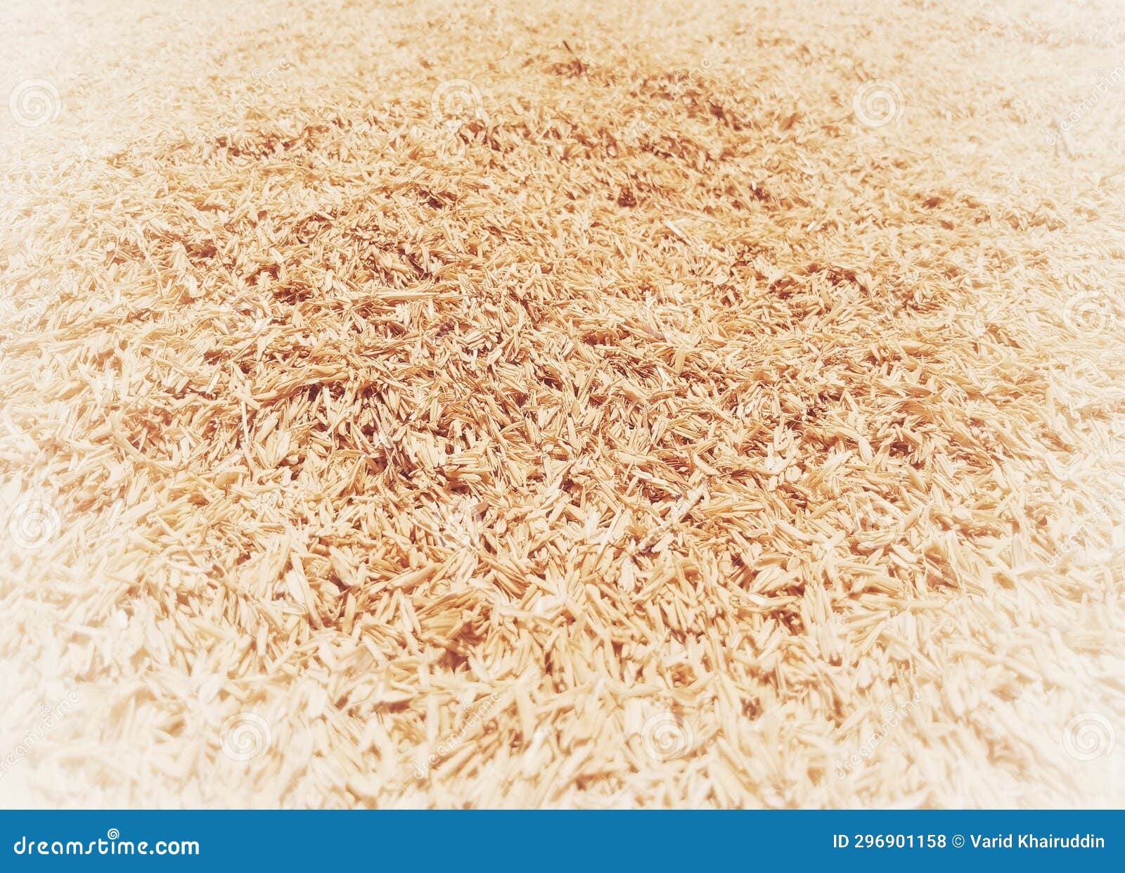 Chaff Background with a Combination of Two Focused Colors Looks Classic ...