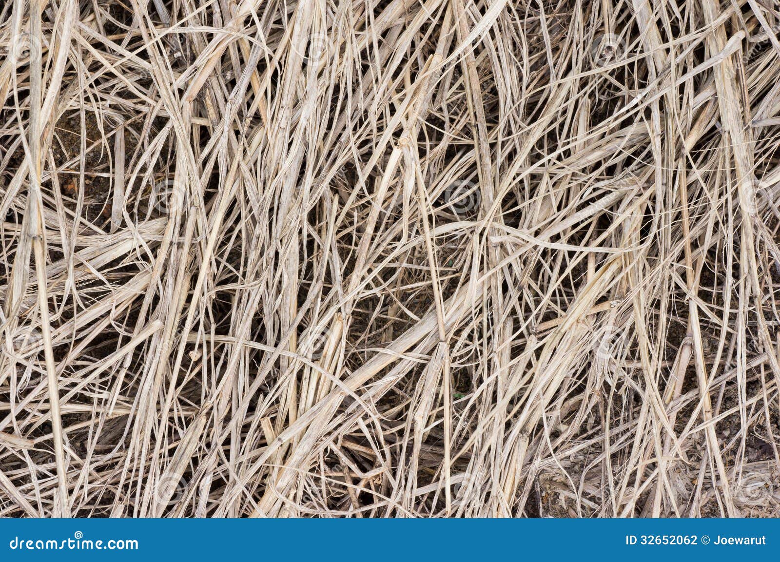 Chaff stock photo. Image of natural, desert, pattern - 32652062