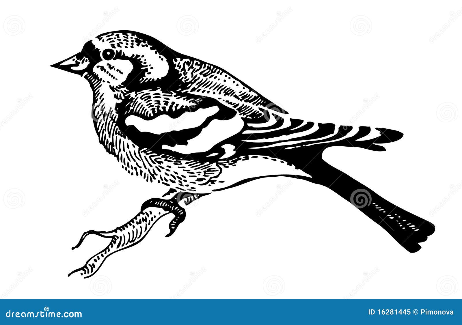 Chaffinch Cartoons, Illustrations & Vector Stock Images - 889 Pictures ...