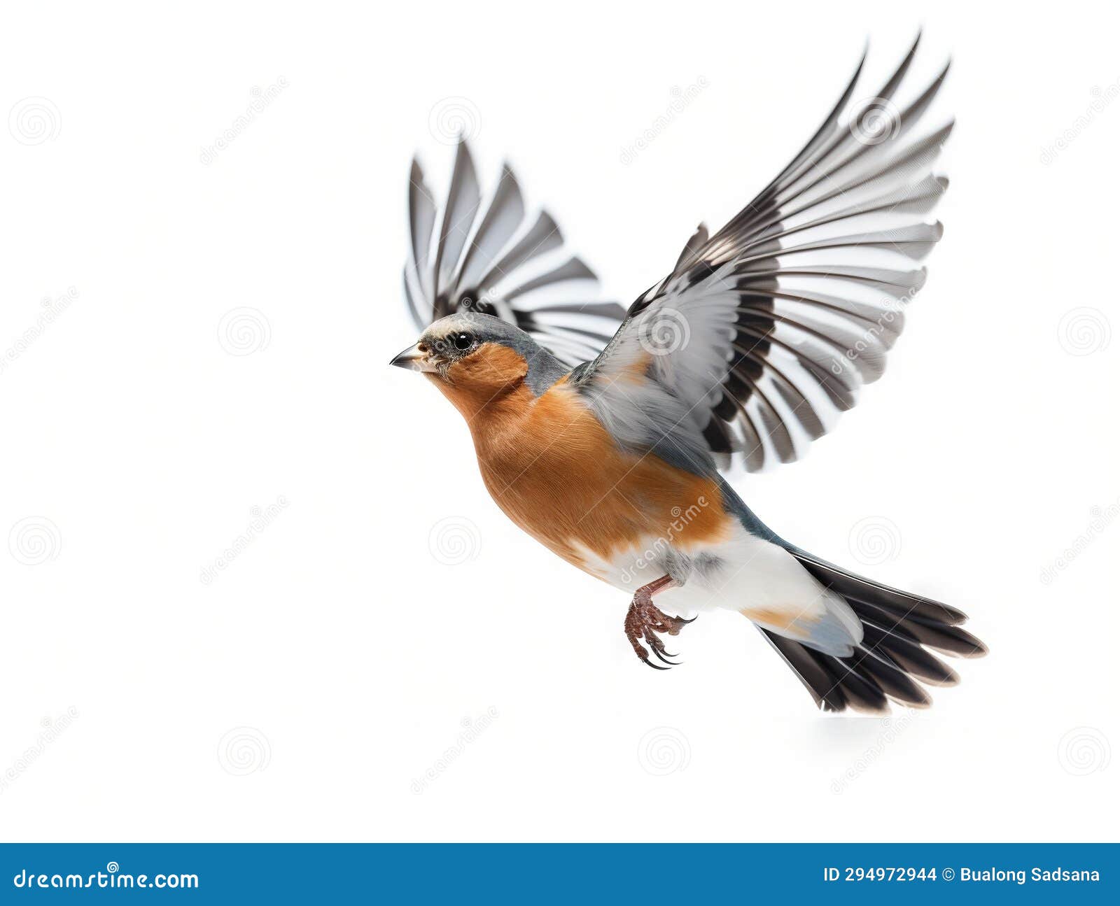 Chaffinch Made With Generative AI Illustration Royalty-Free Cartoon ...