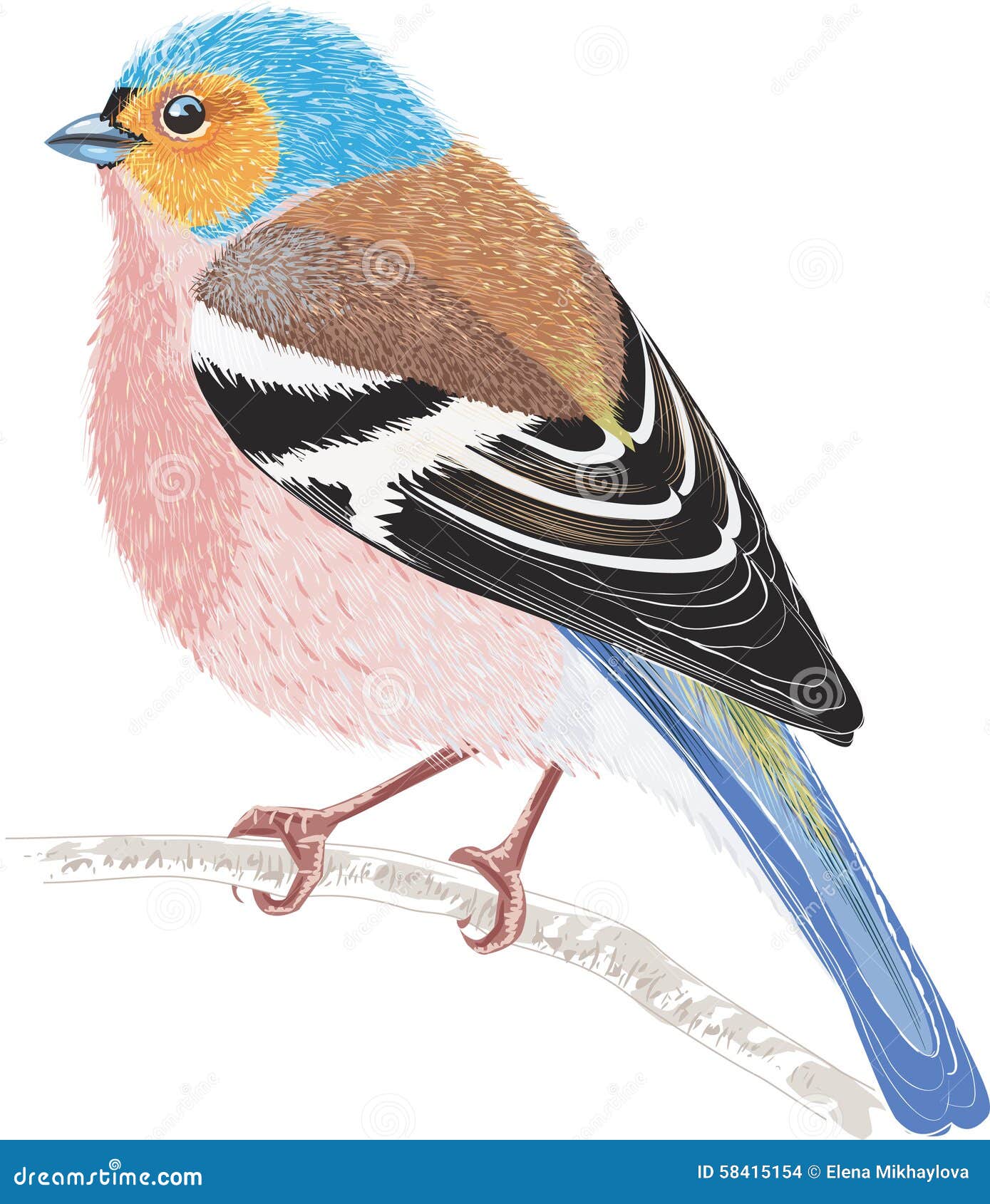 Chaffinch Cartoons, Illustrations & Vector Stock Images - 889 Pictures ...