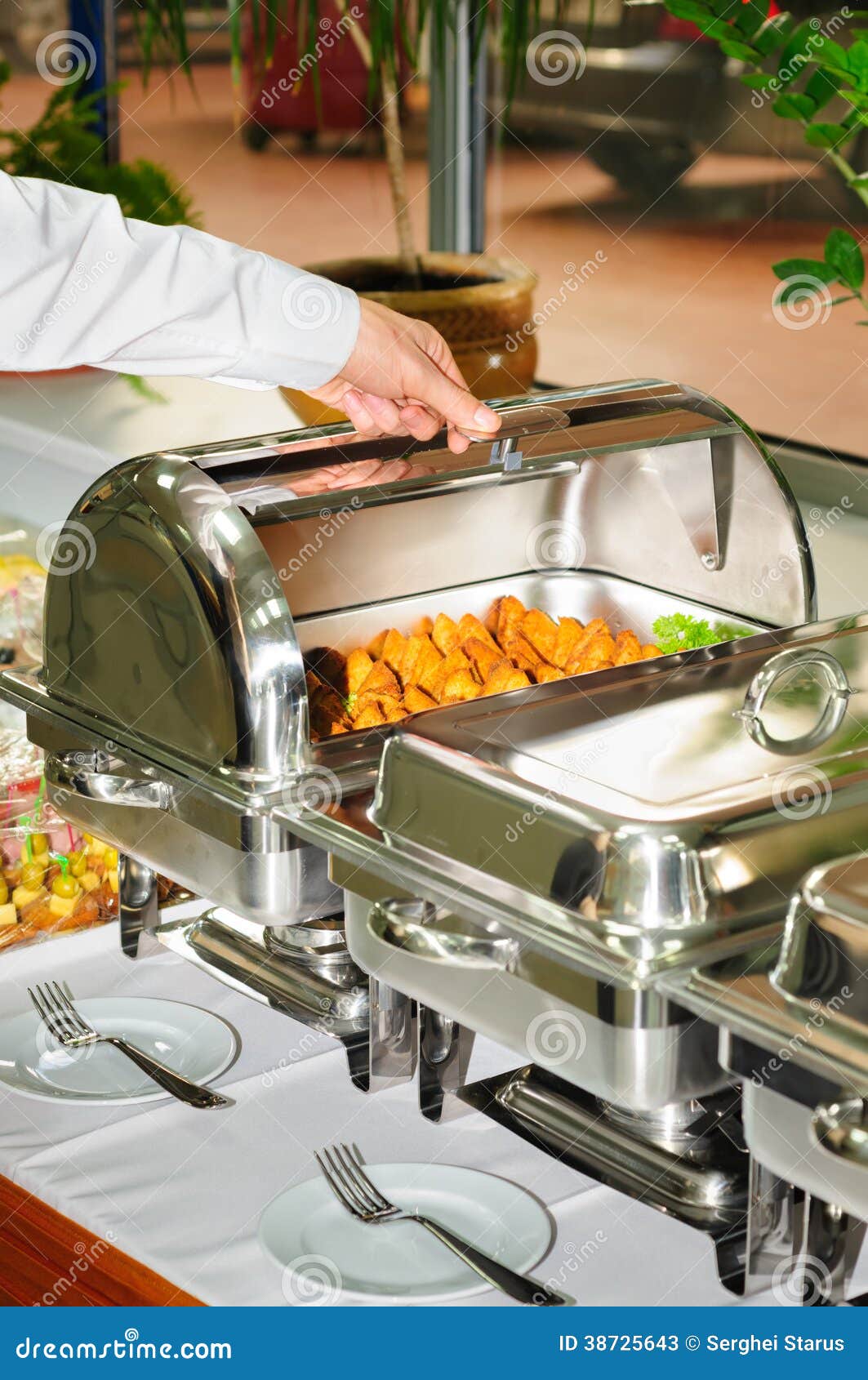 Chafing Dish Heater with Grilled Meat Stock Image - Image of equipment ...