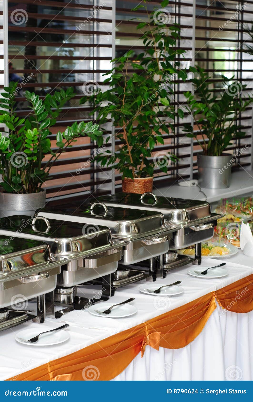 Chafing dish heaters stock photo. Image of focus, empty - 8790624