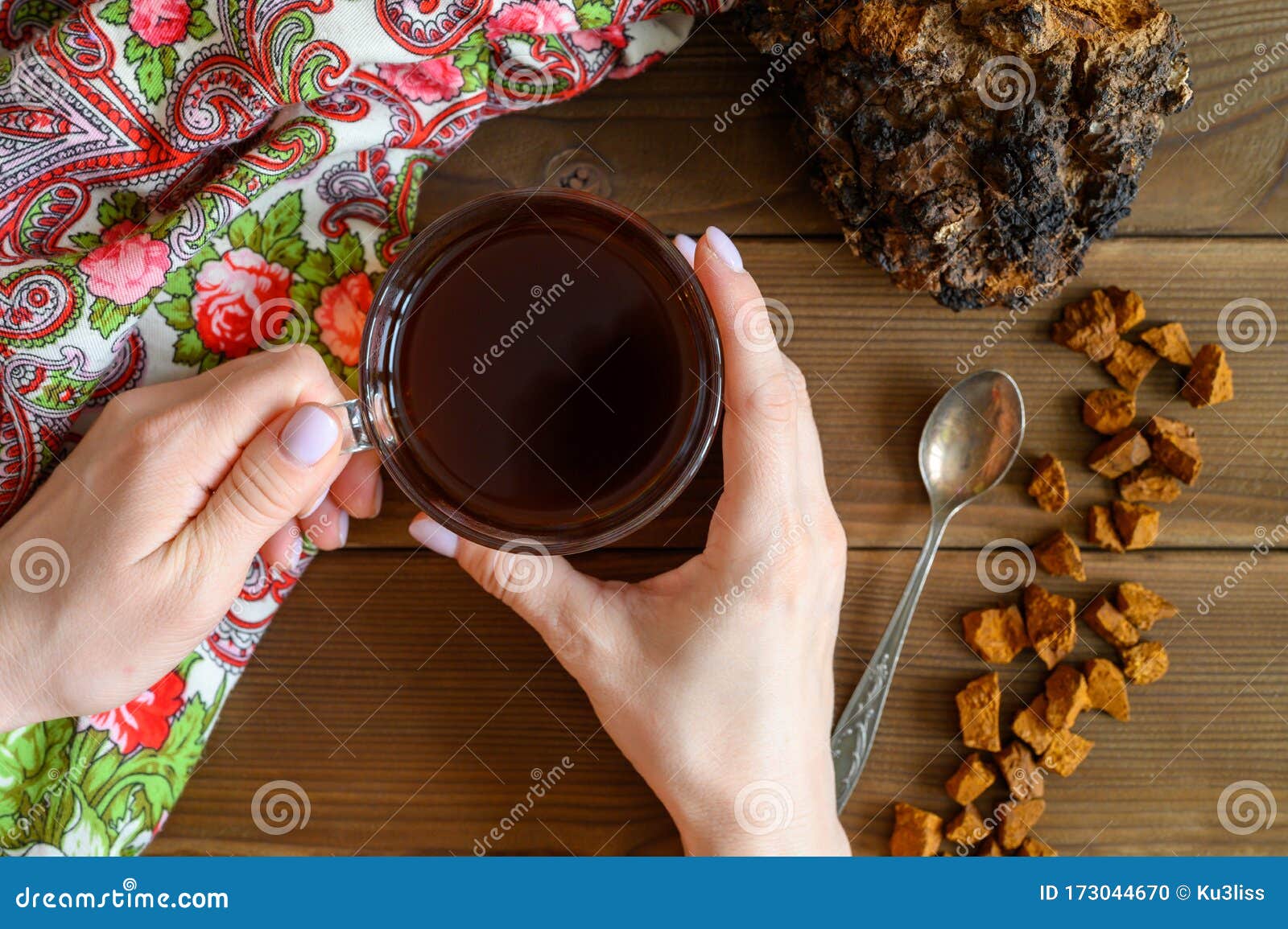 Chaga Tea Mushroom from Birch Tree Using for Healing Tea or Coffee in ...