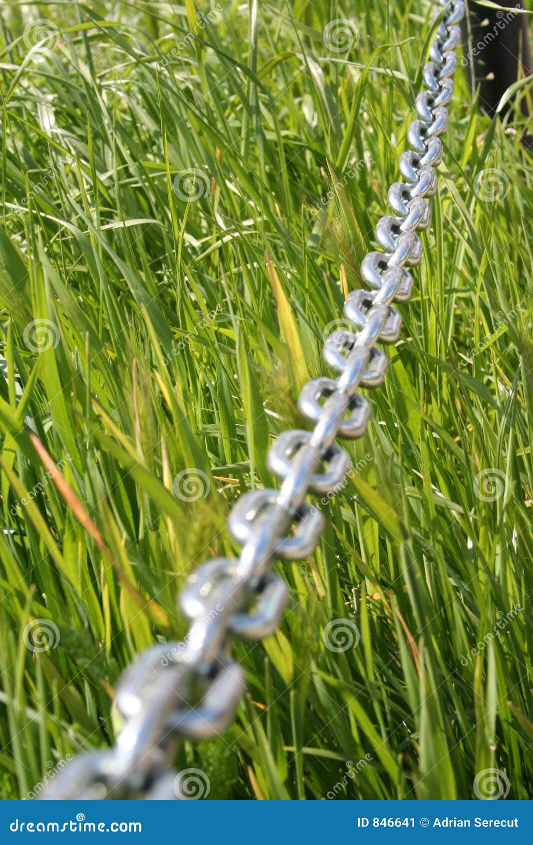Chain stock image. Image of metal, grass, infinity, green - 846641