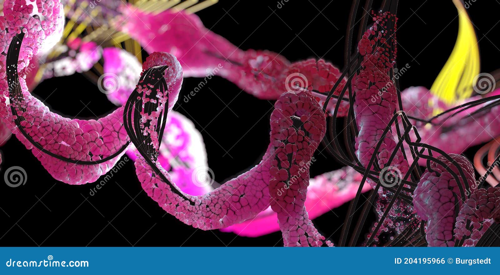 Chain Of Amino Acid Or Bio Molecules Called Protein Royalty-Free ...