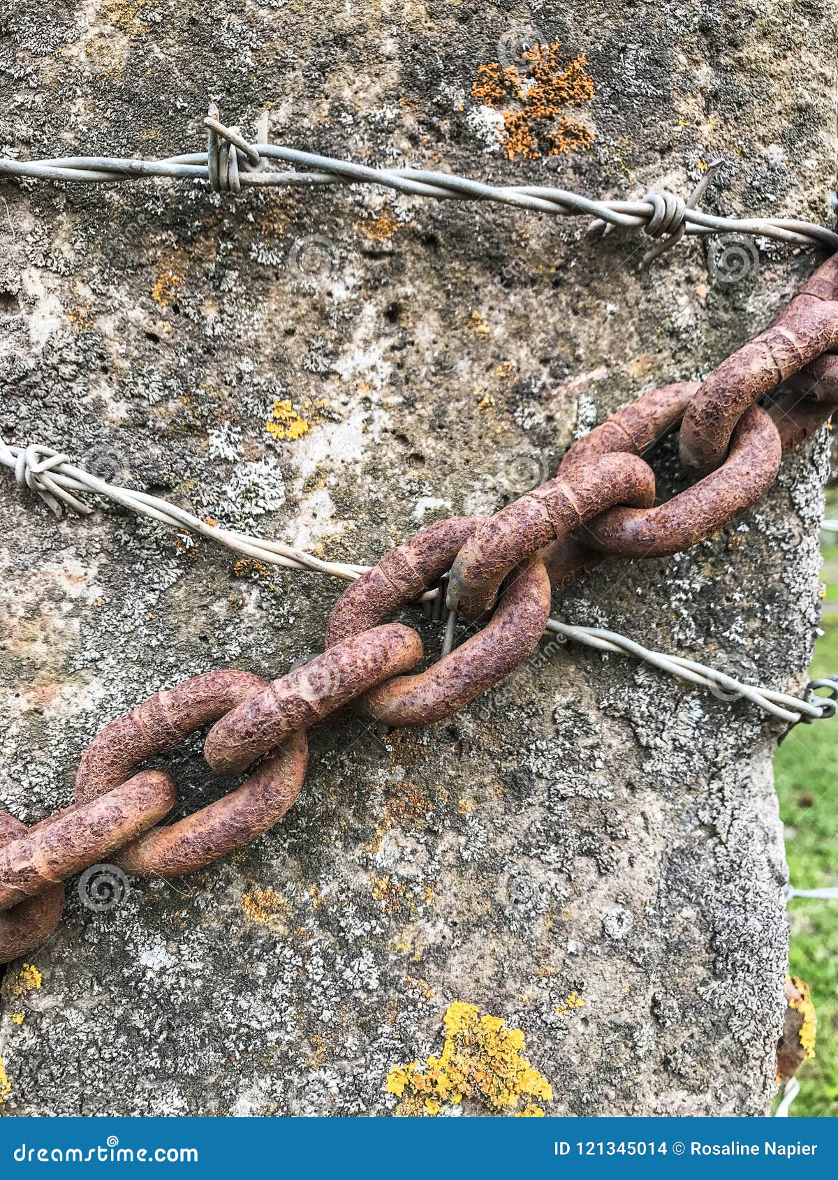 Chain and barbed wire stock photo. Image of rust, prison - 121345014