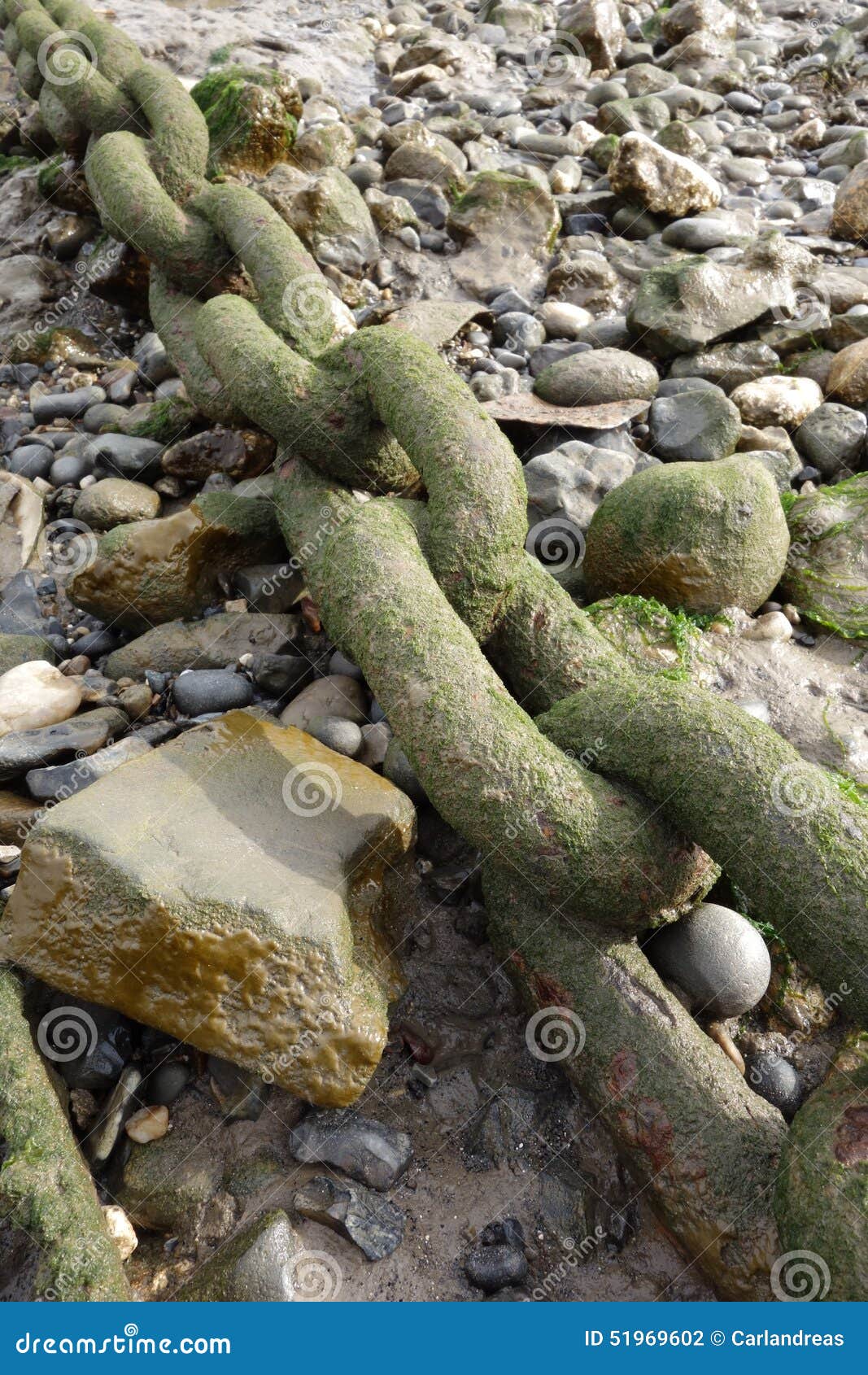 Chain on beach. stock photo. Image of iron, large, shore - 51969602