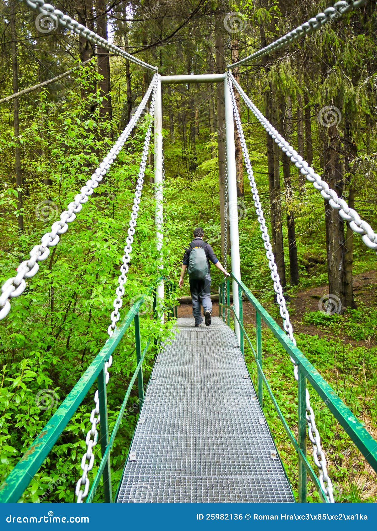 Chain Bridge stock photo. Image of green, chain, high - 25982136
