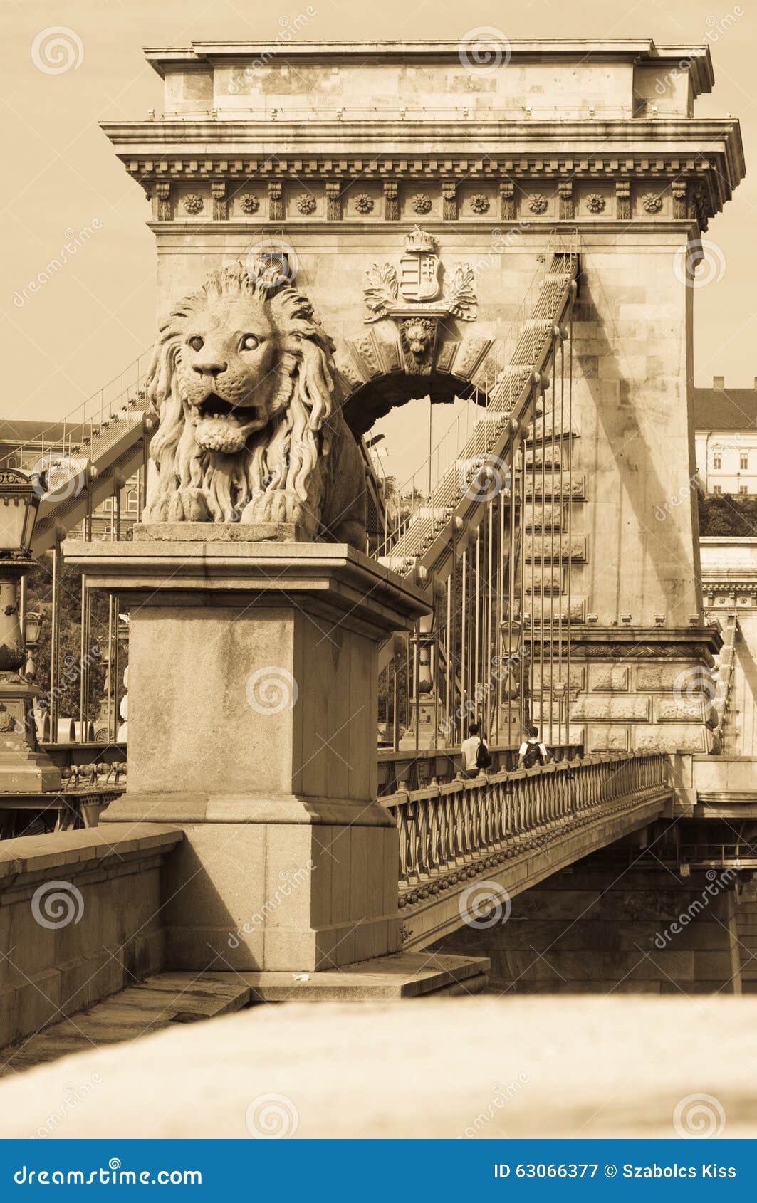 Chain Bridge with the Lion, Budapest, Hungary Stock Image - Image of ...