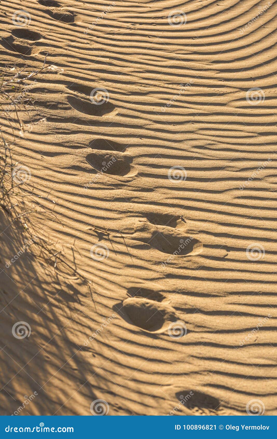 Deep Tracks on Grooved Sand Stock Image - Image of tracks, beautiful ...