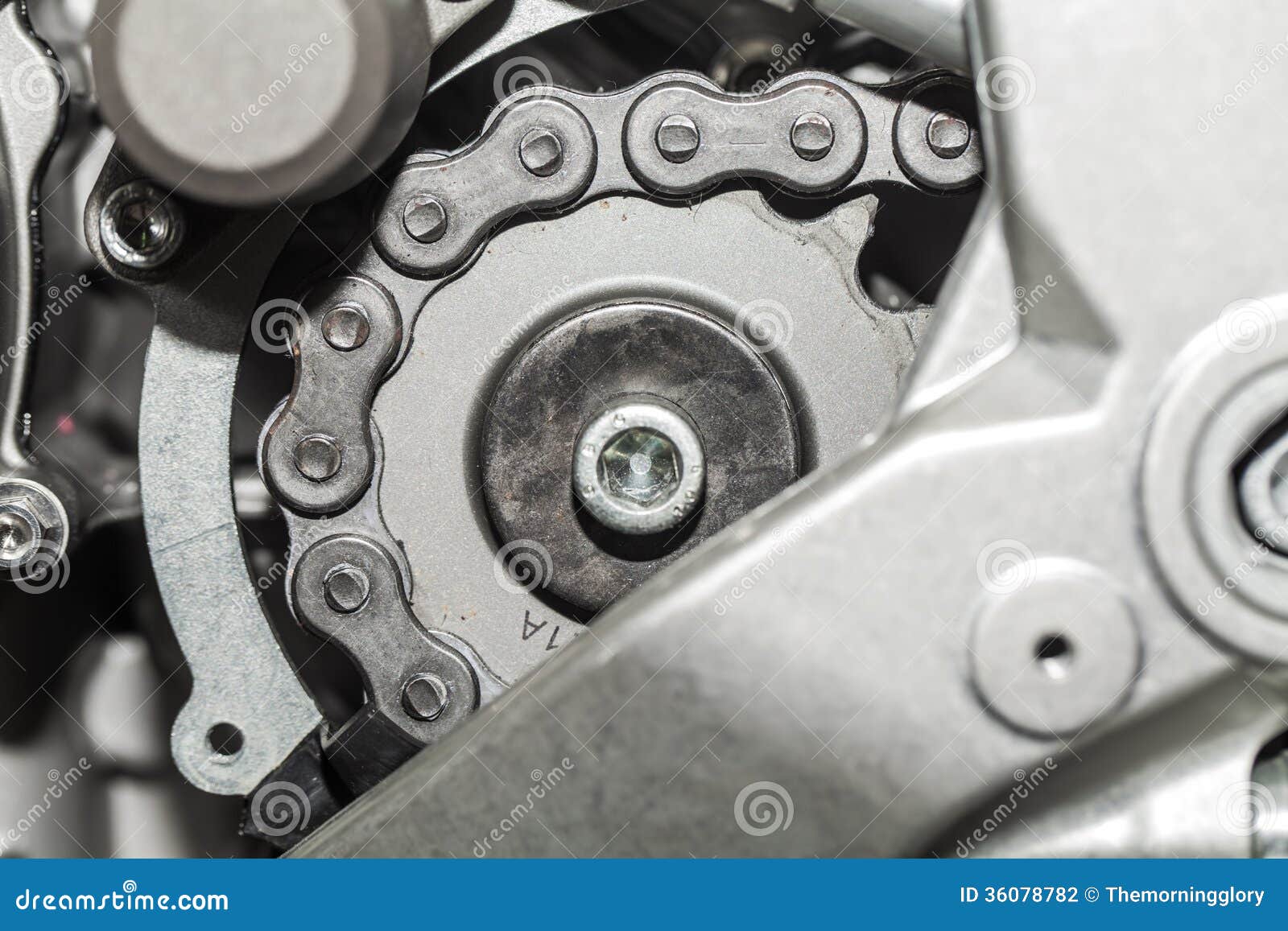 Chain and Gear Wheel stock photo. Image of circle, component - 36078782