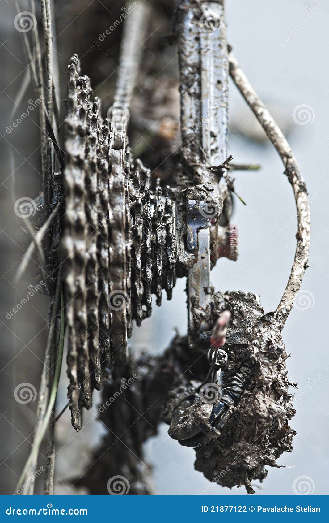 385 Chain Gears Race Stock Photos - Free & Royalty-Free Stock Photos ...