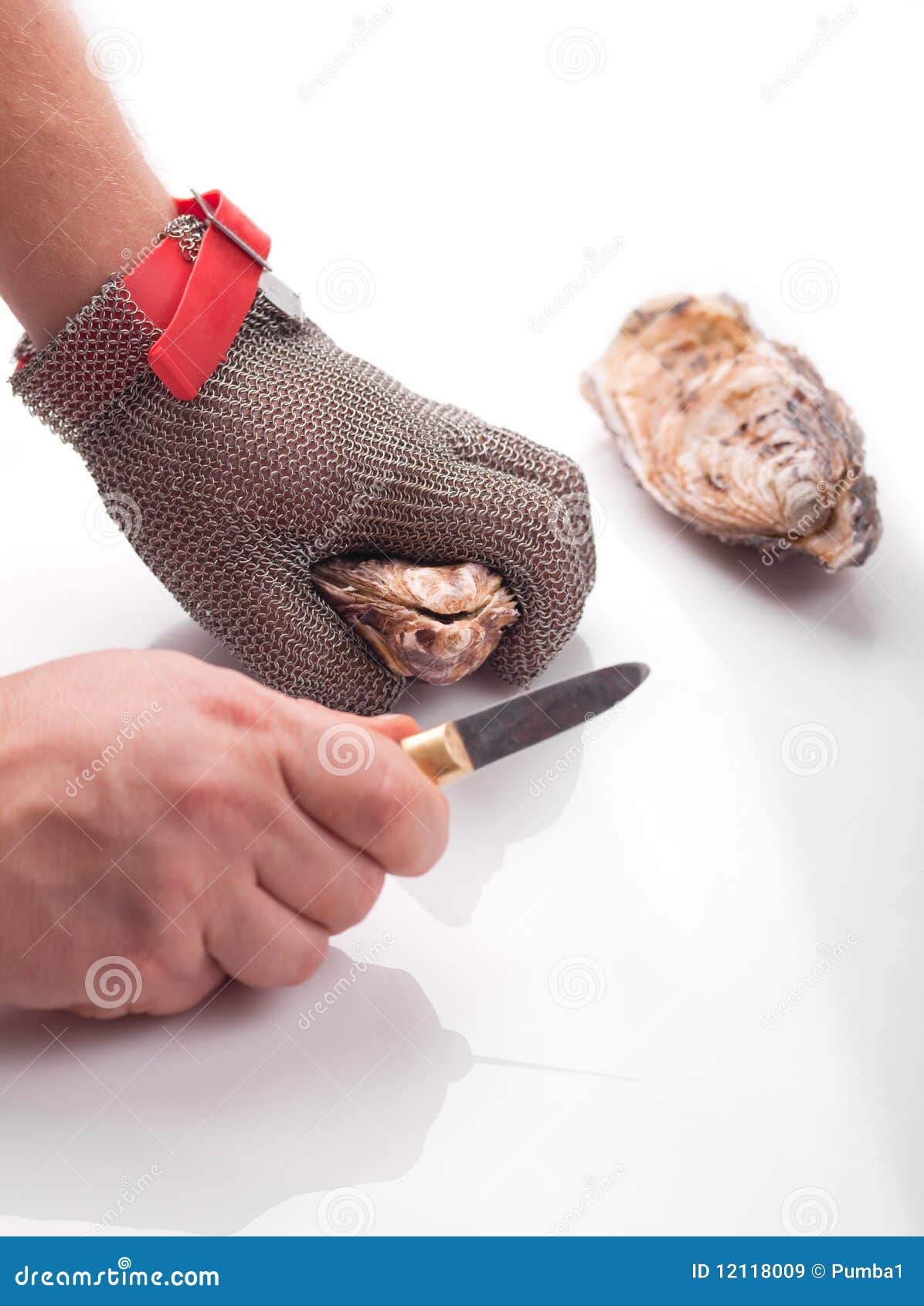 Chain Gloves Specially for Opening of Oysters Stock Image - Image of ...