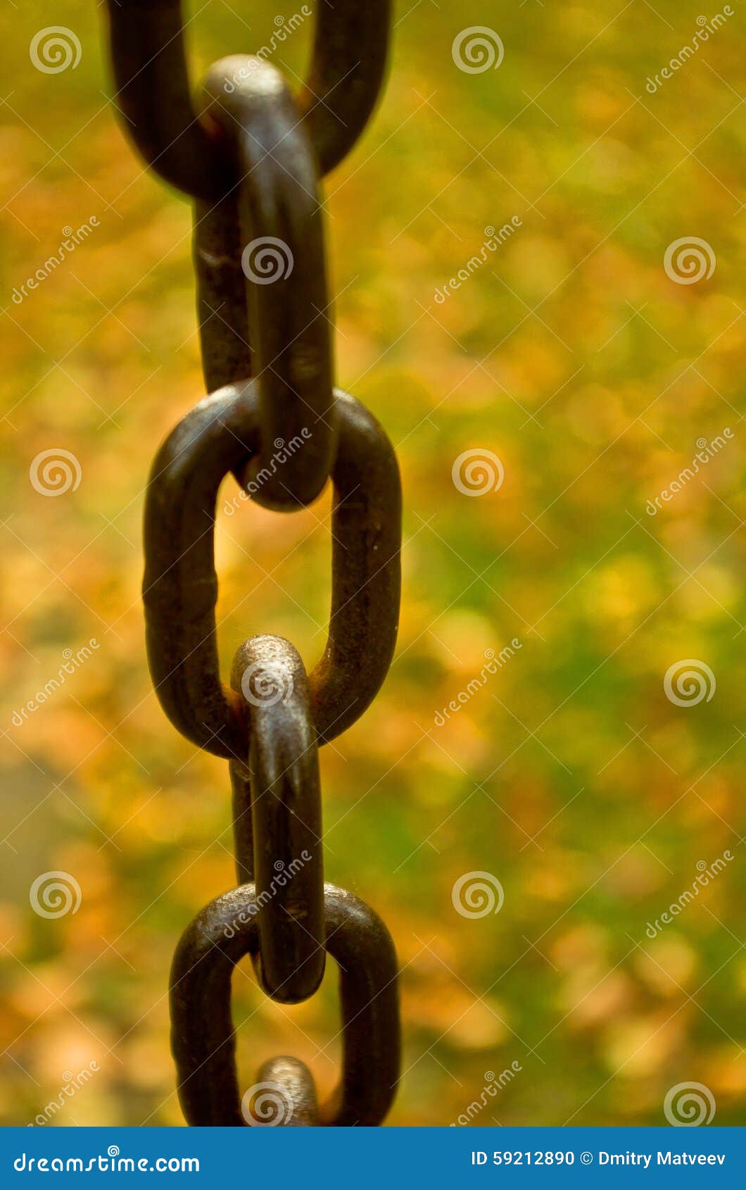 Chain stock photo. Image of hanging, focus, iron, nature - 59212890