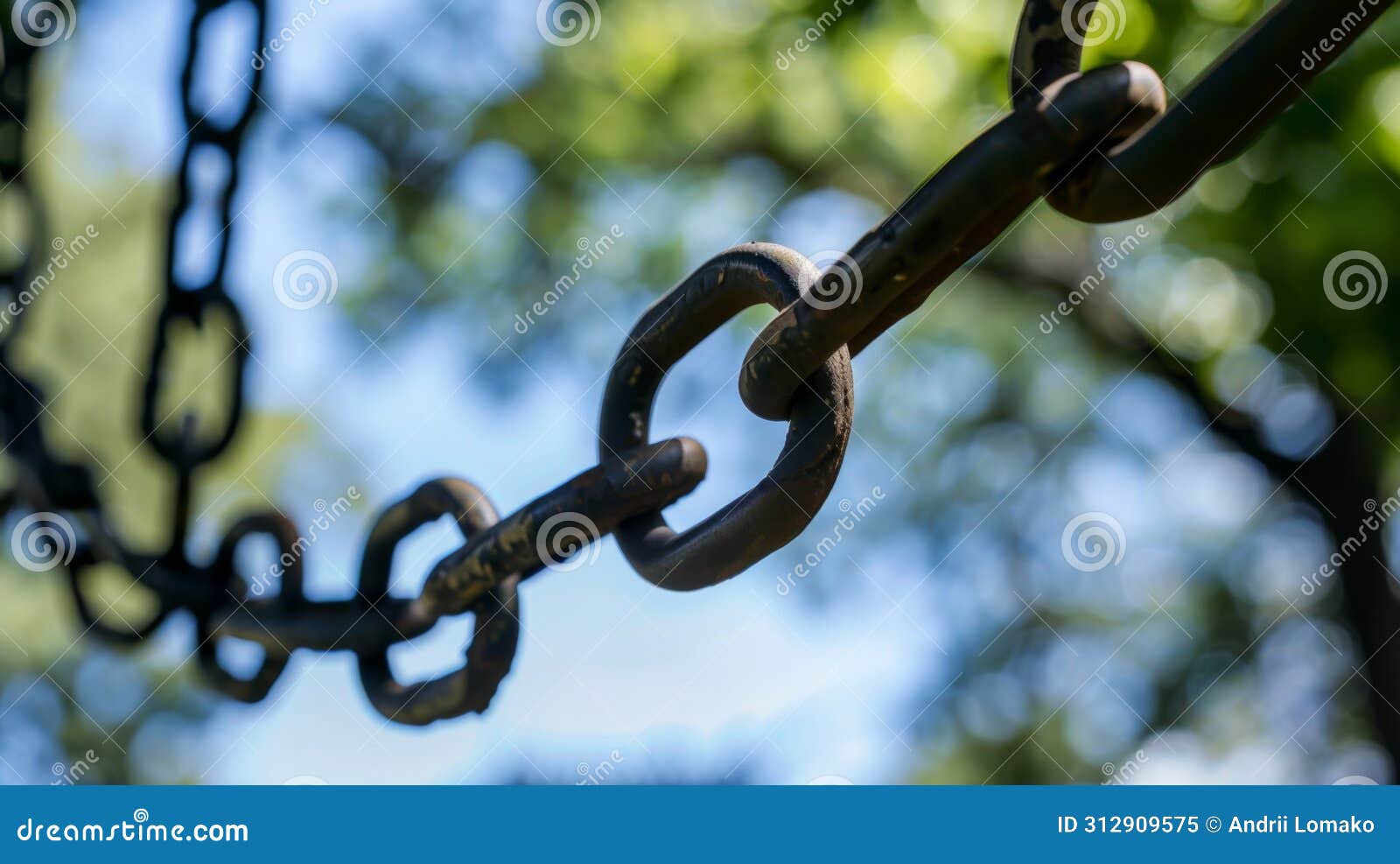 Chain Hanging from Tree stock image. Image of aged, weathered - 312909575